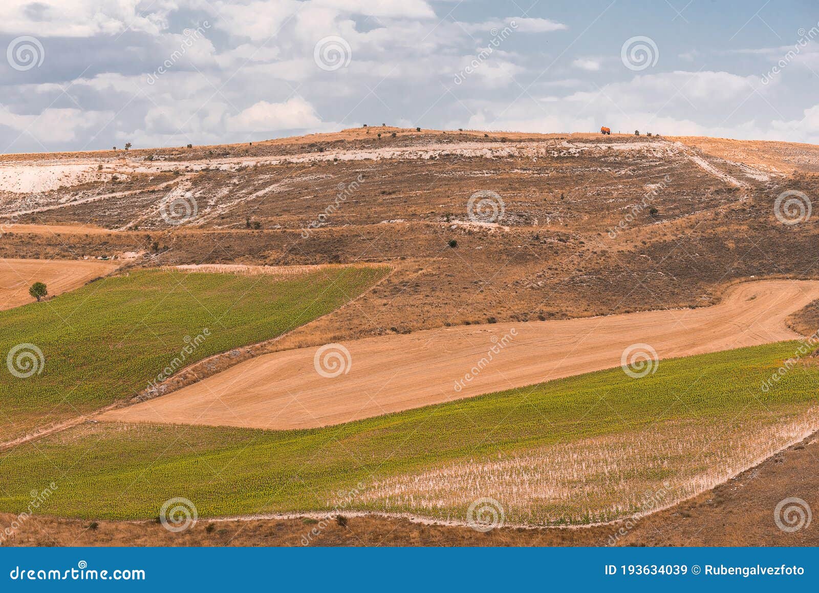 Spanish Agriculture Fields in Summer Stock Image - Image of beautiful ...
