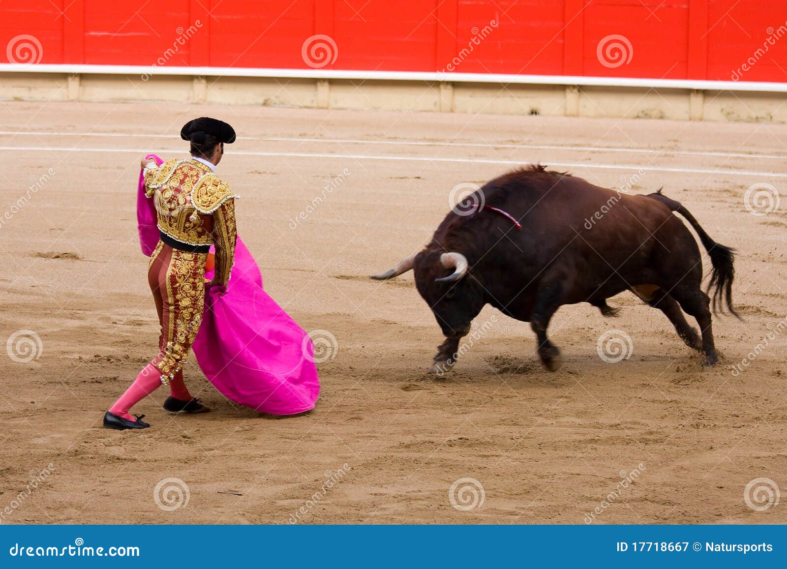 Spanish bullfight editorial photography. Image of animal - 17718667