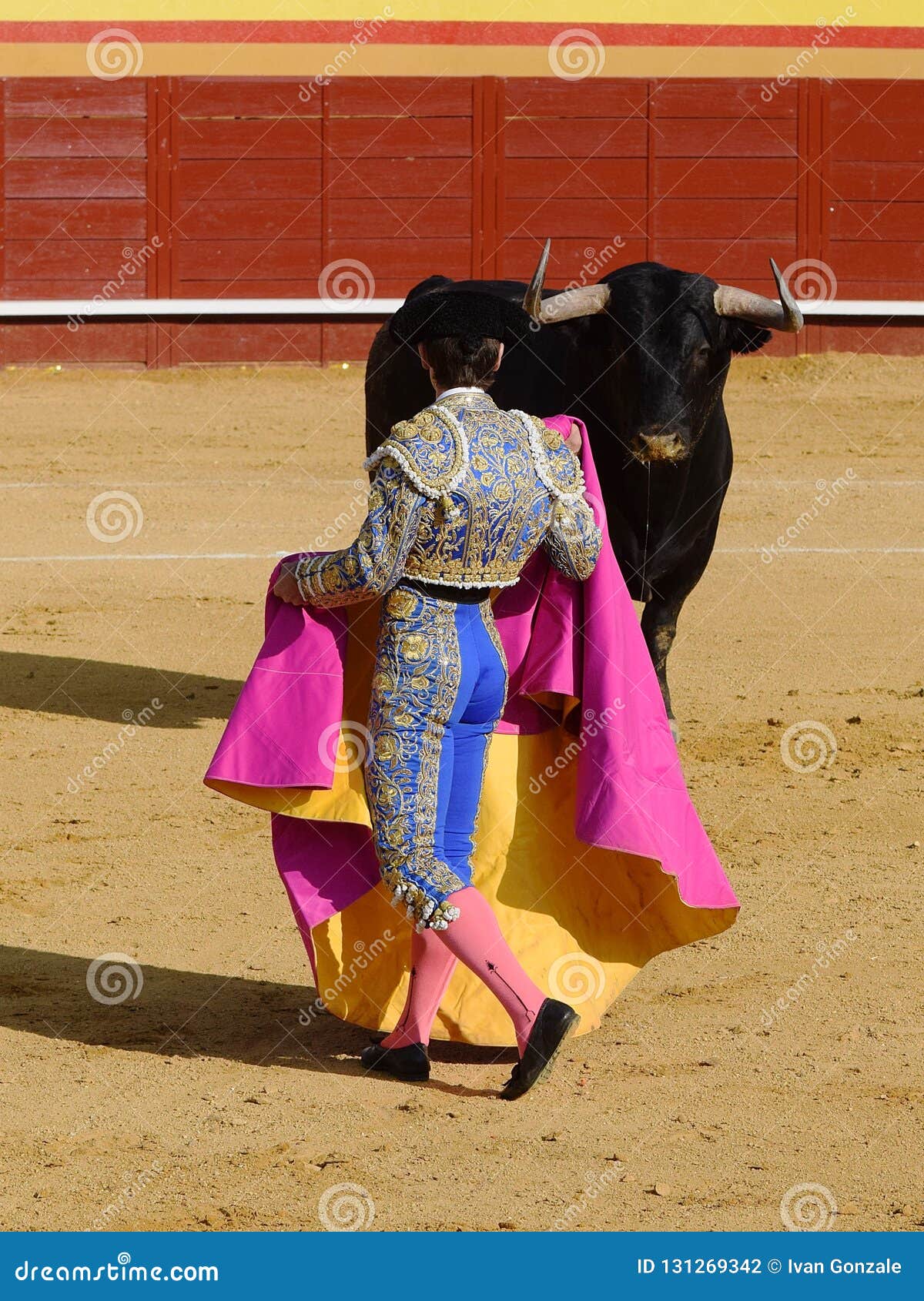 Bull editorial photography. Image of spanish, bull, bullfighter - 131269342
