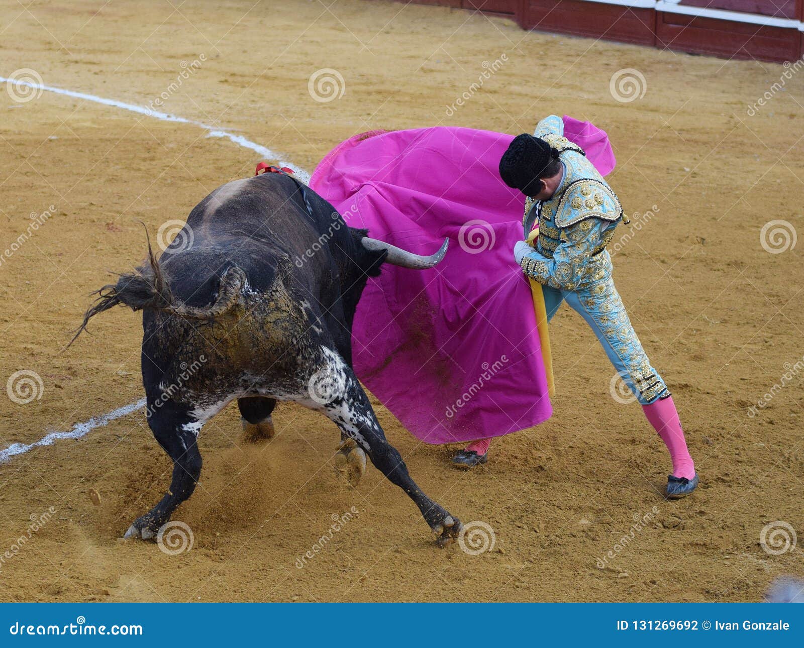 Bull editorial photography. Image of traditional, bull - 131269692