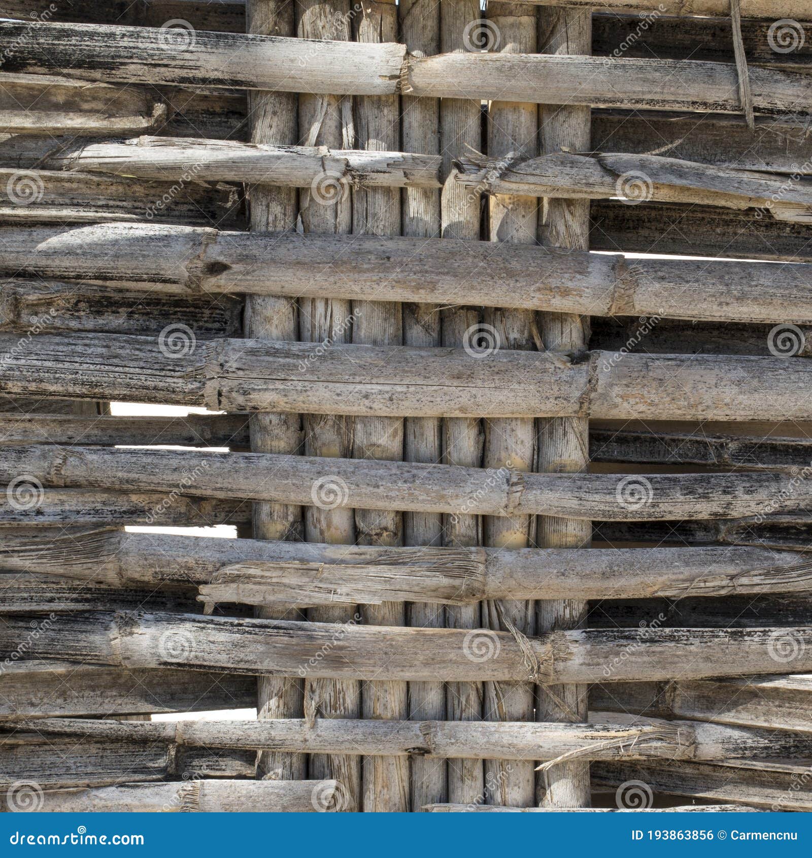 Spanish Cane Dry, Colorado River Reed, Framework for Rural Use Stock ...