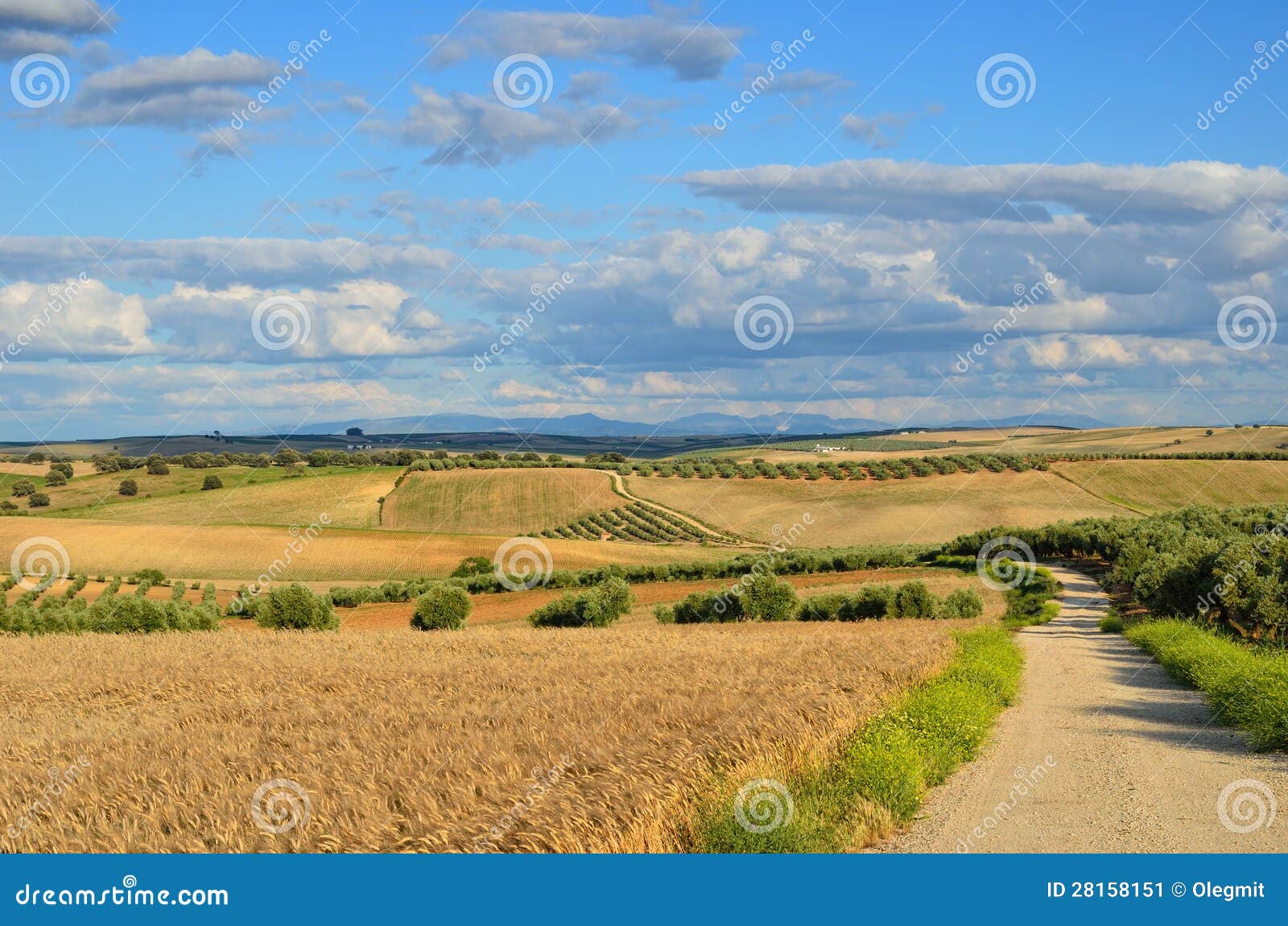 Spanish Country Landscape in Spring Stock Image - Image of field ...