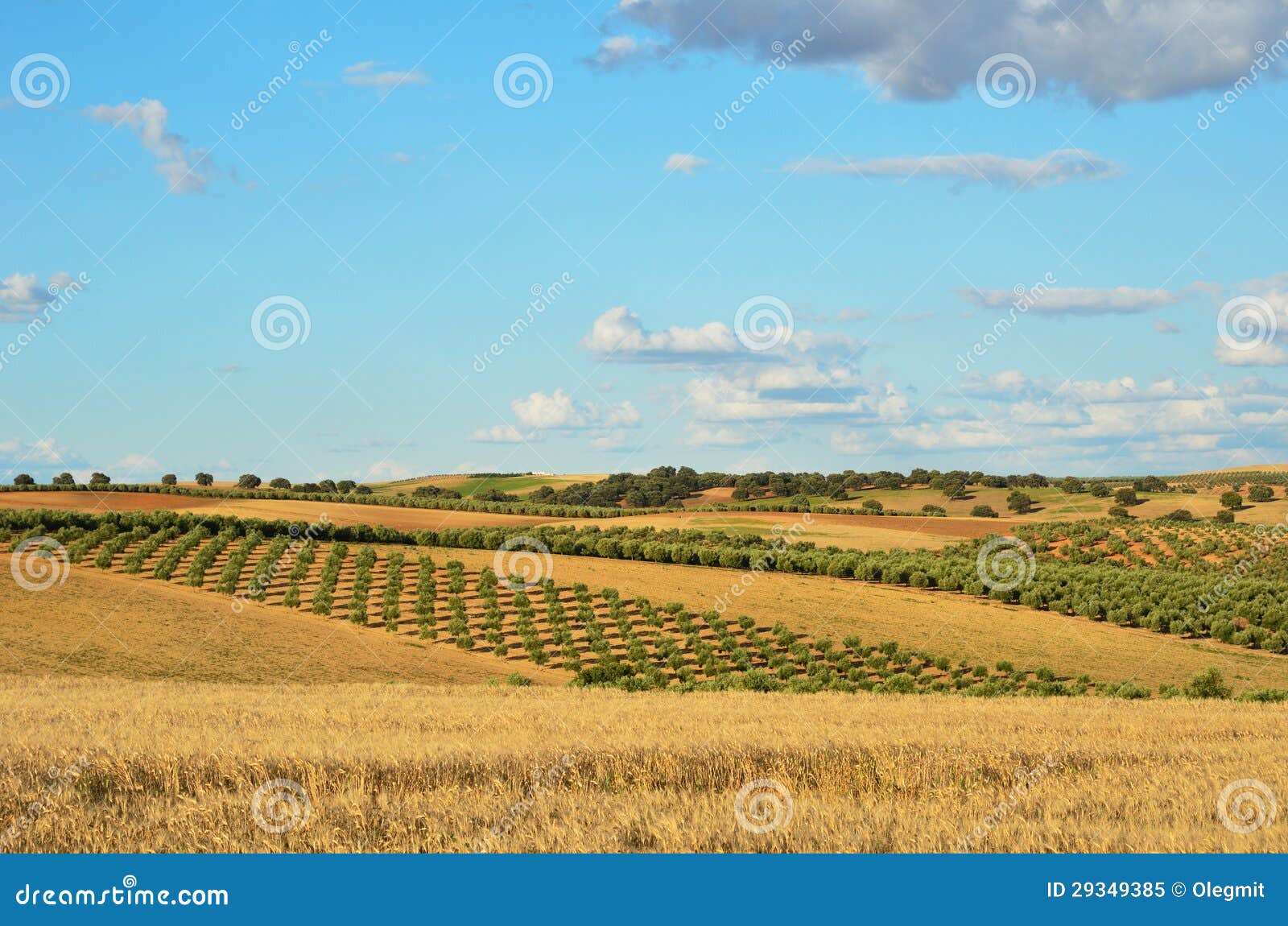 Spanish Country Landscape in Spring Stock Image - Image of ripe, almond ...