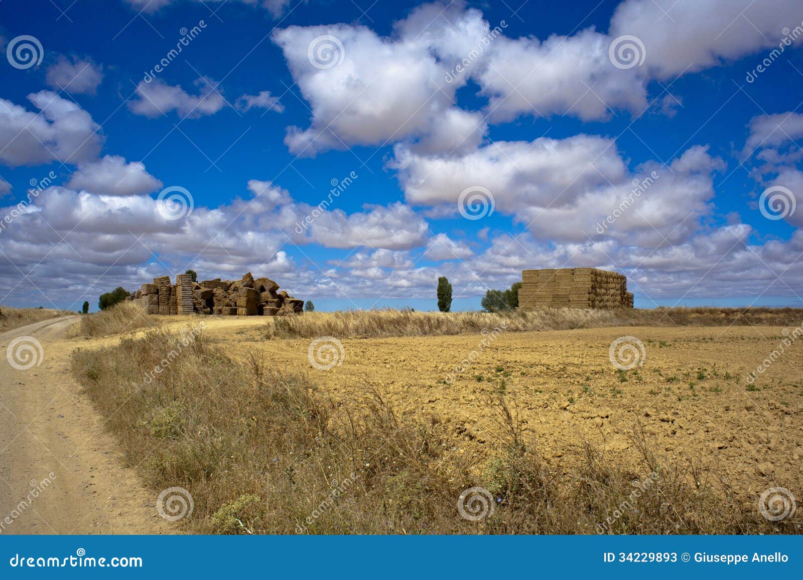 Spanish countryside stock image. Image of interior, corn - 34229893