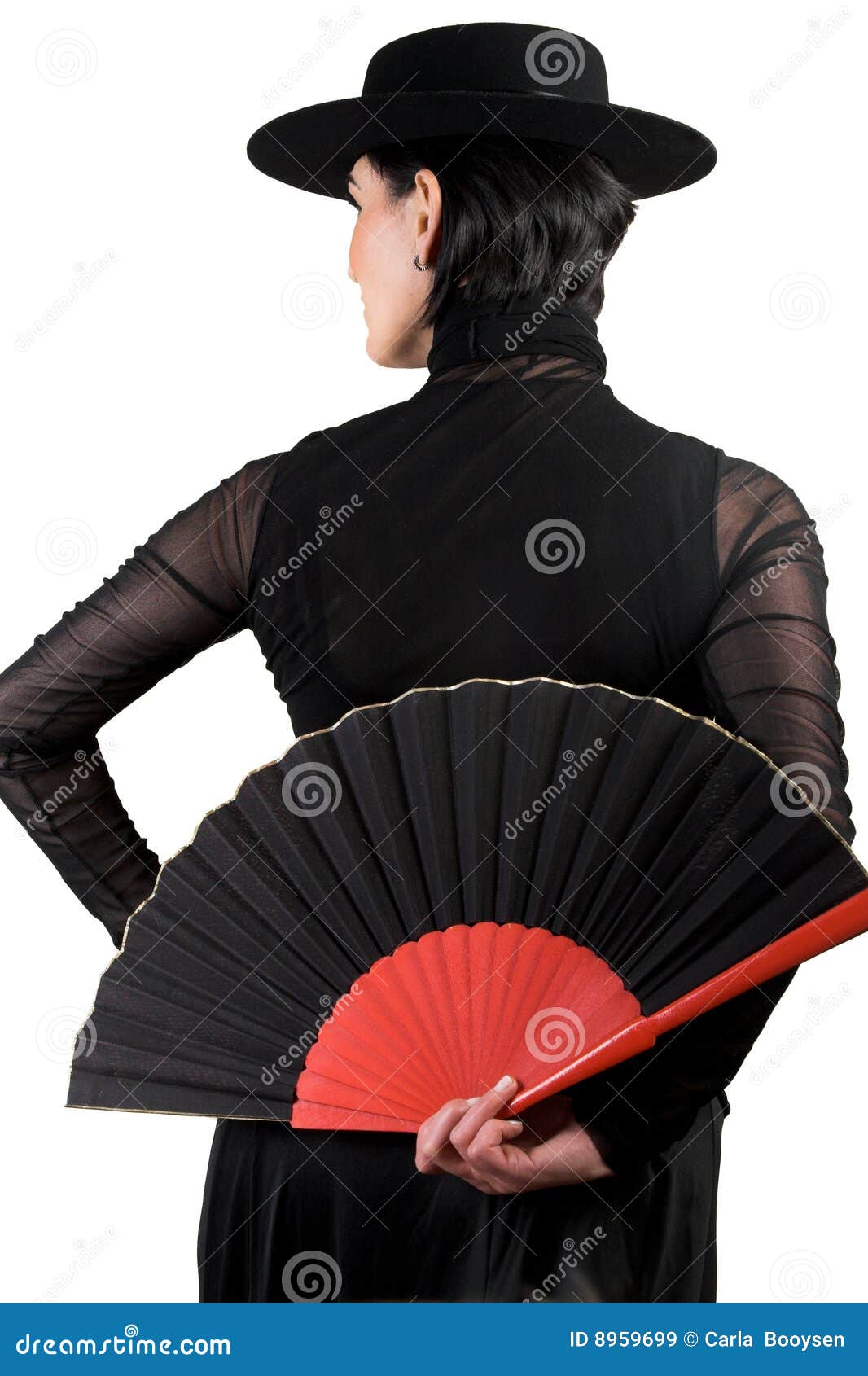 Spanish Dancer stock image. Image of female, black, beauty - 8959699