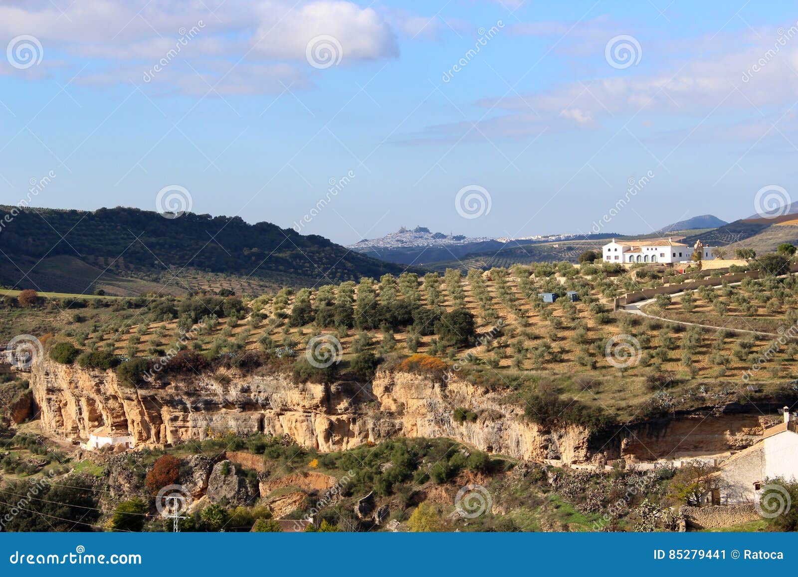 Spanish field photo stock image. Image of nice, olive - 85279441