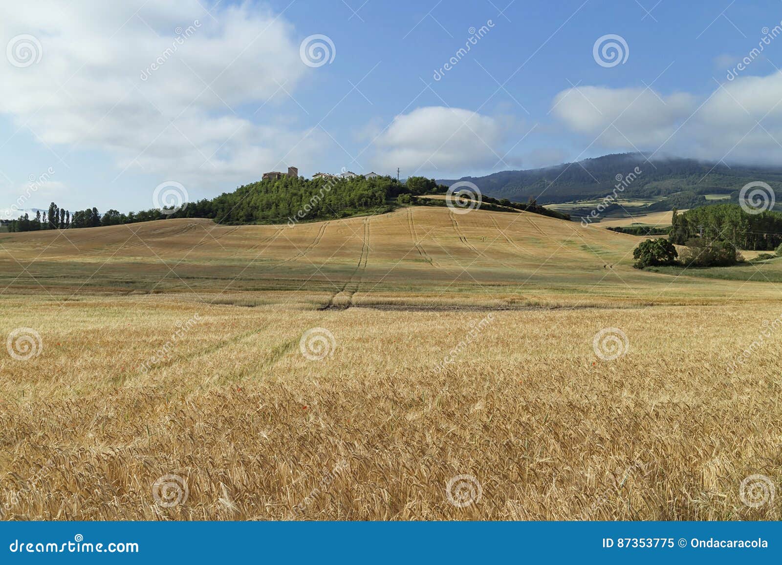 Spanish fields stock image. Image of spiritual, fields - 87353775