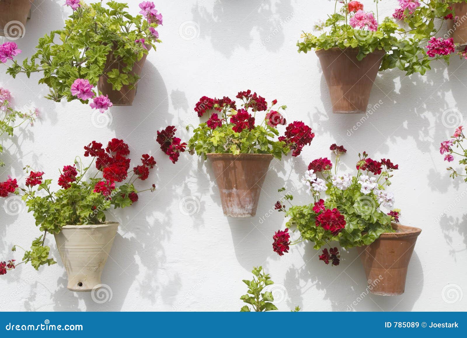 Spanish flowers stock image. Image of andalucia, andalucian - 785089