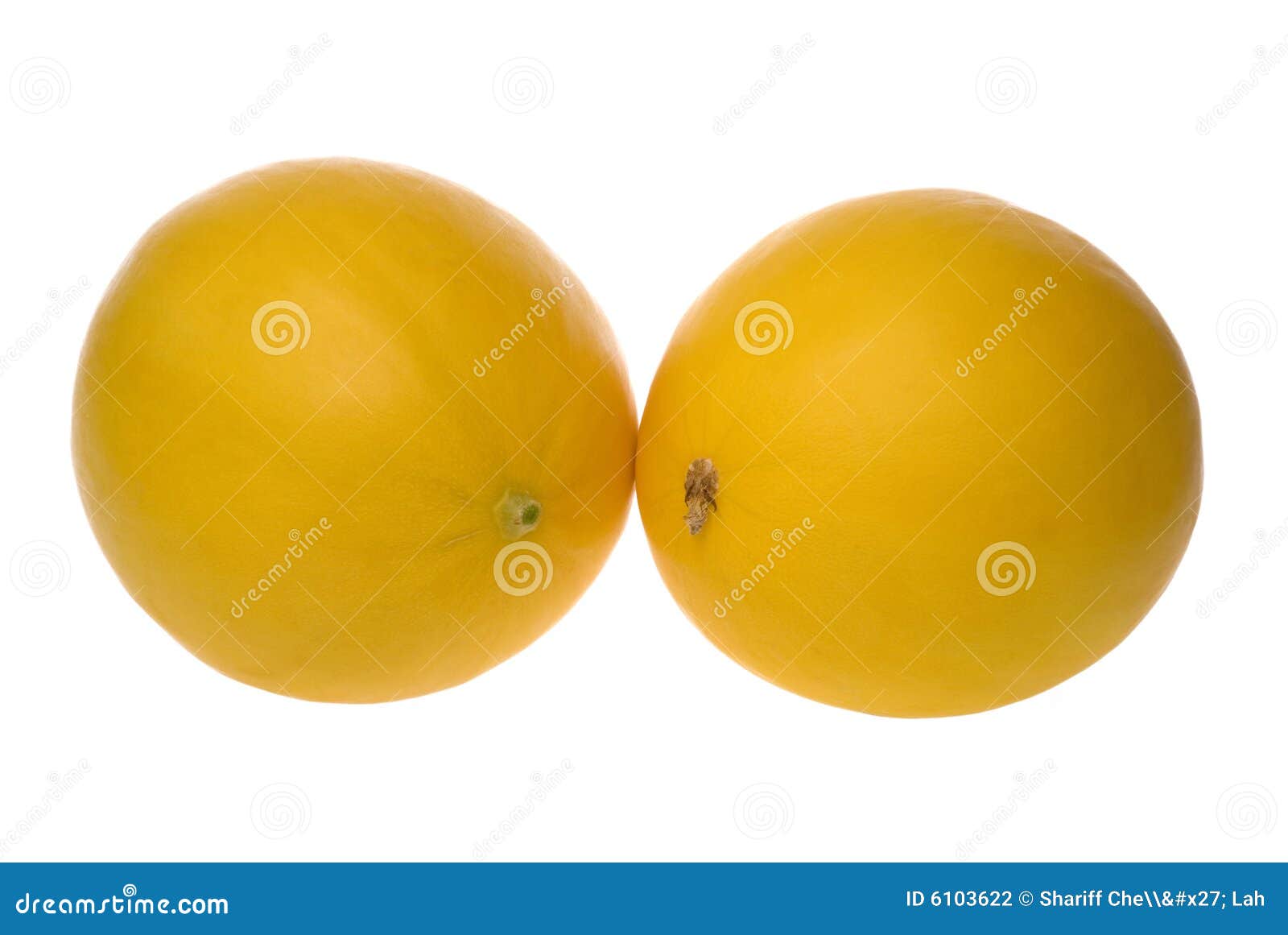 Spanish Golden Lady Melon stock photo. Image of golden - 6103622