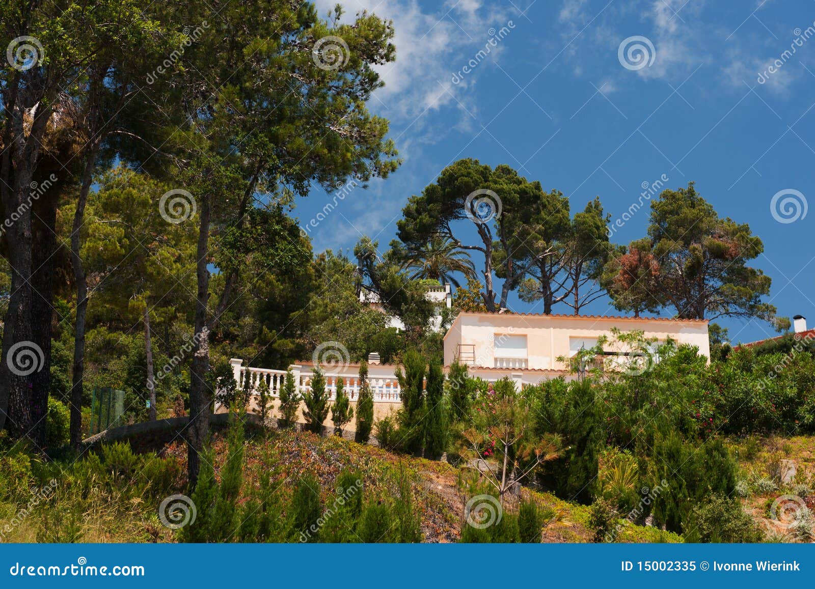 Spanish House with Palm Trees Stock Image - Image of trees, spain: 15002335