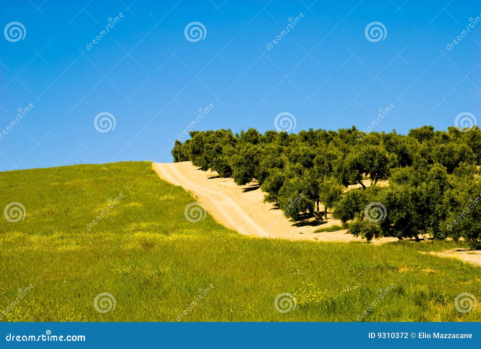 Spanish landscape stock photo. Image of cloud, meadow - 9310372