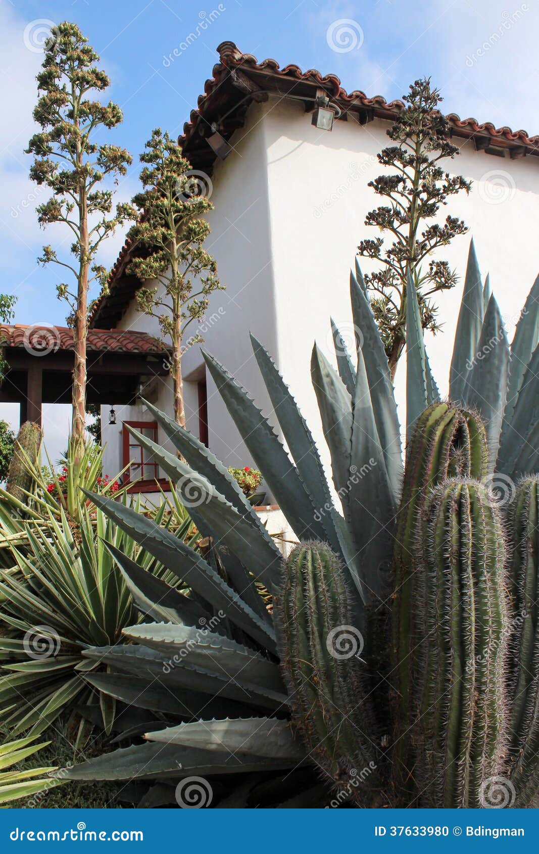 Spanish Mission with Cactus Stock Photo - Image of southwest, aloe ...