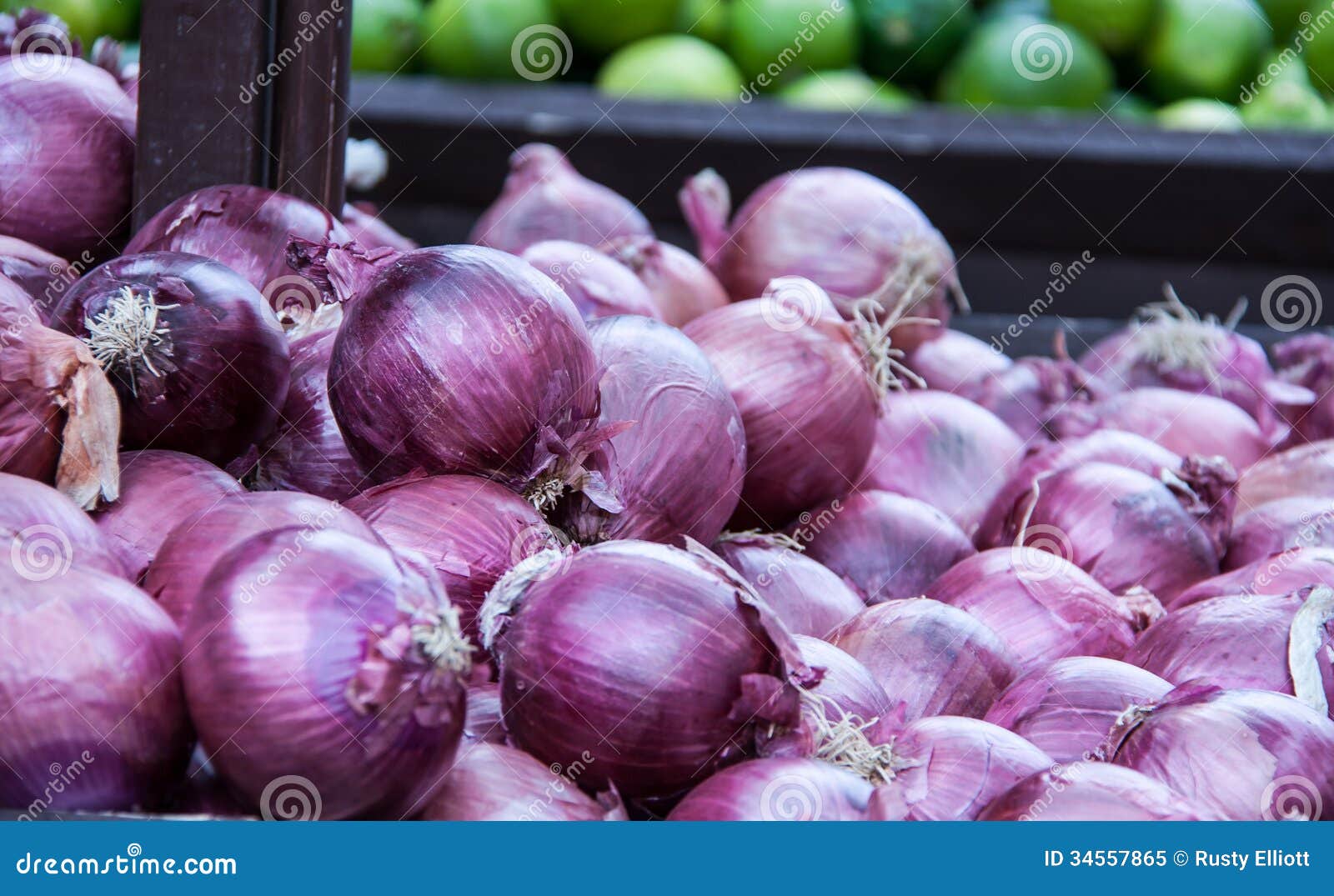 Spanish Onions stock image. Image of produce, montreal - 34557865