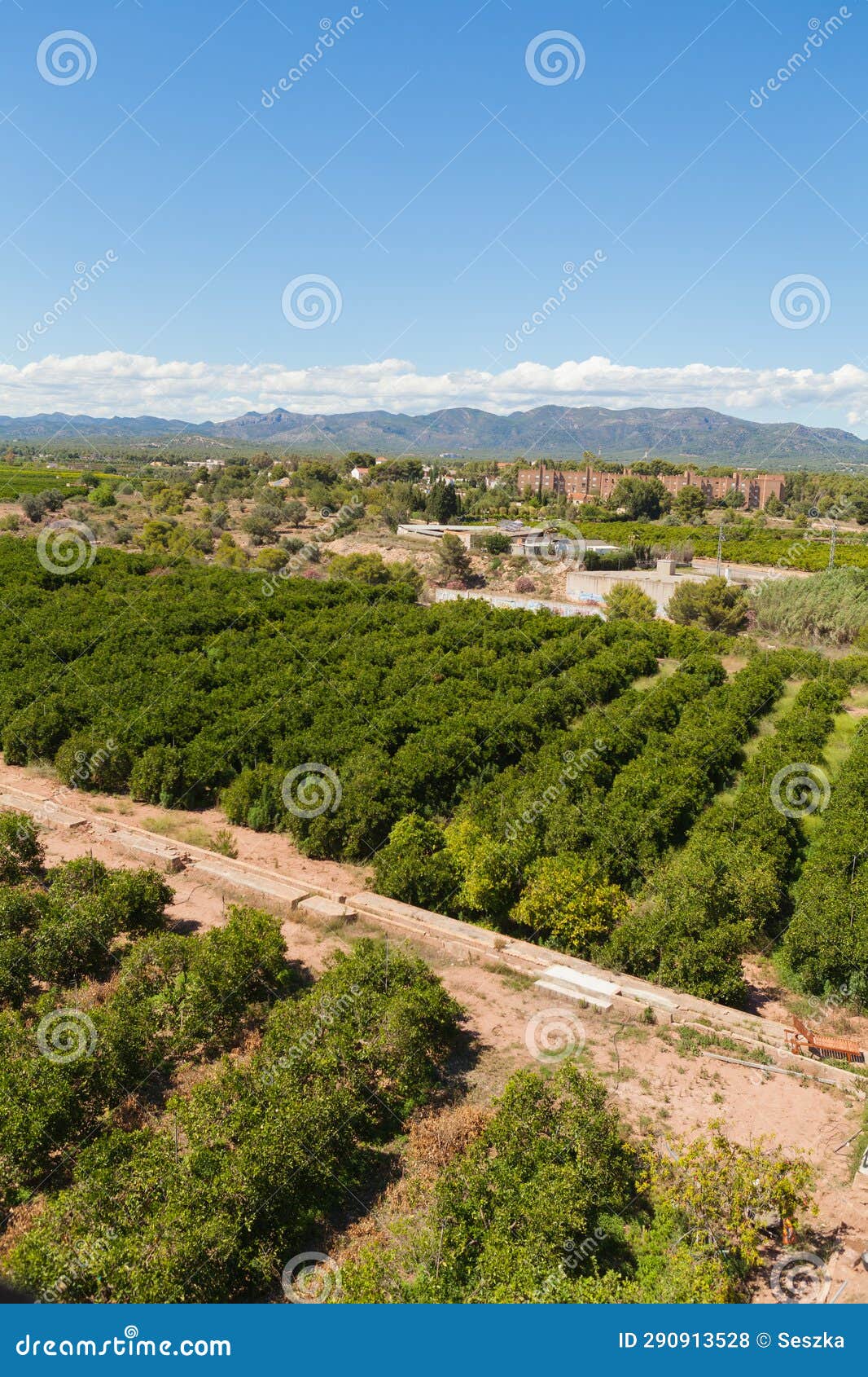 Spanish Orchards with Orange Trees, Valencia. Stock Photo - Image of ...