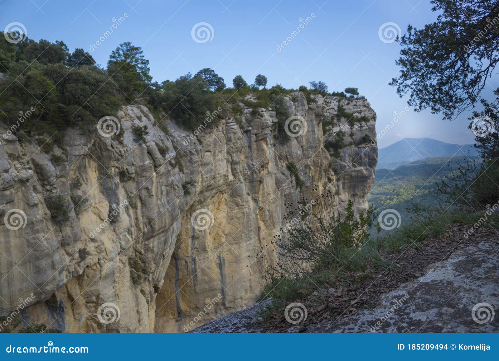 Spanish Pyrenees, Catalonia. Spain Stock Photo - Image of forest ...