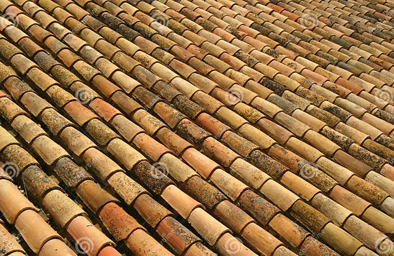 Spanish roof tiles stock photo. Image of tiling, tile, roof - 8098