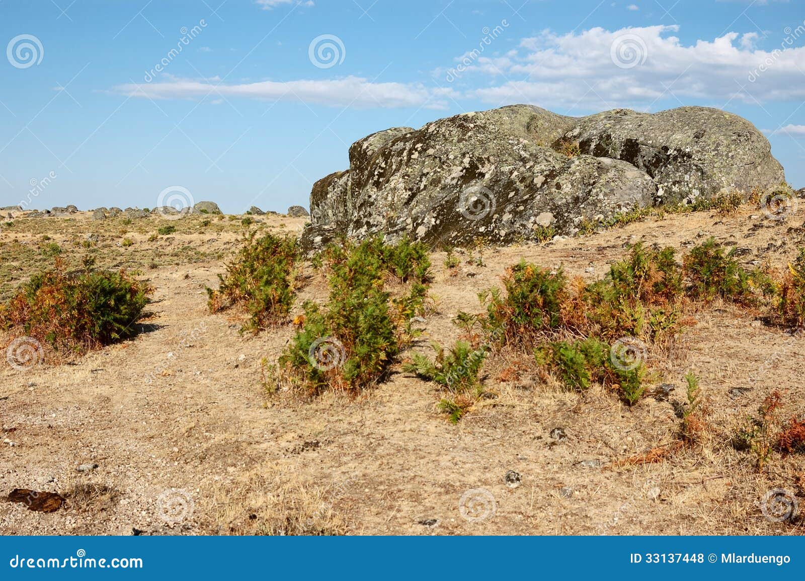 Spanish scree stock photo. Image of scree, cloud, yellow - 33137448