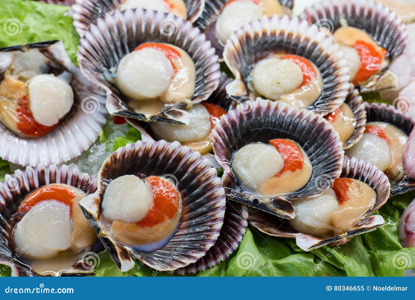 Spanish Shells at the Restaurant Stock Image - Image of healthy, dishes ...