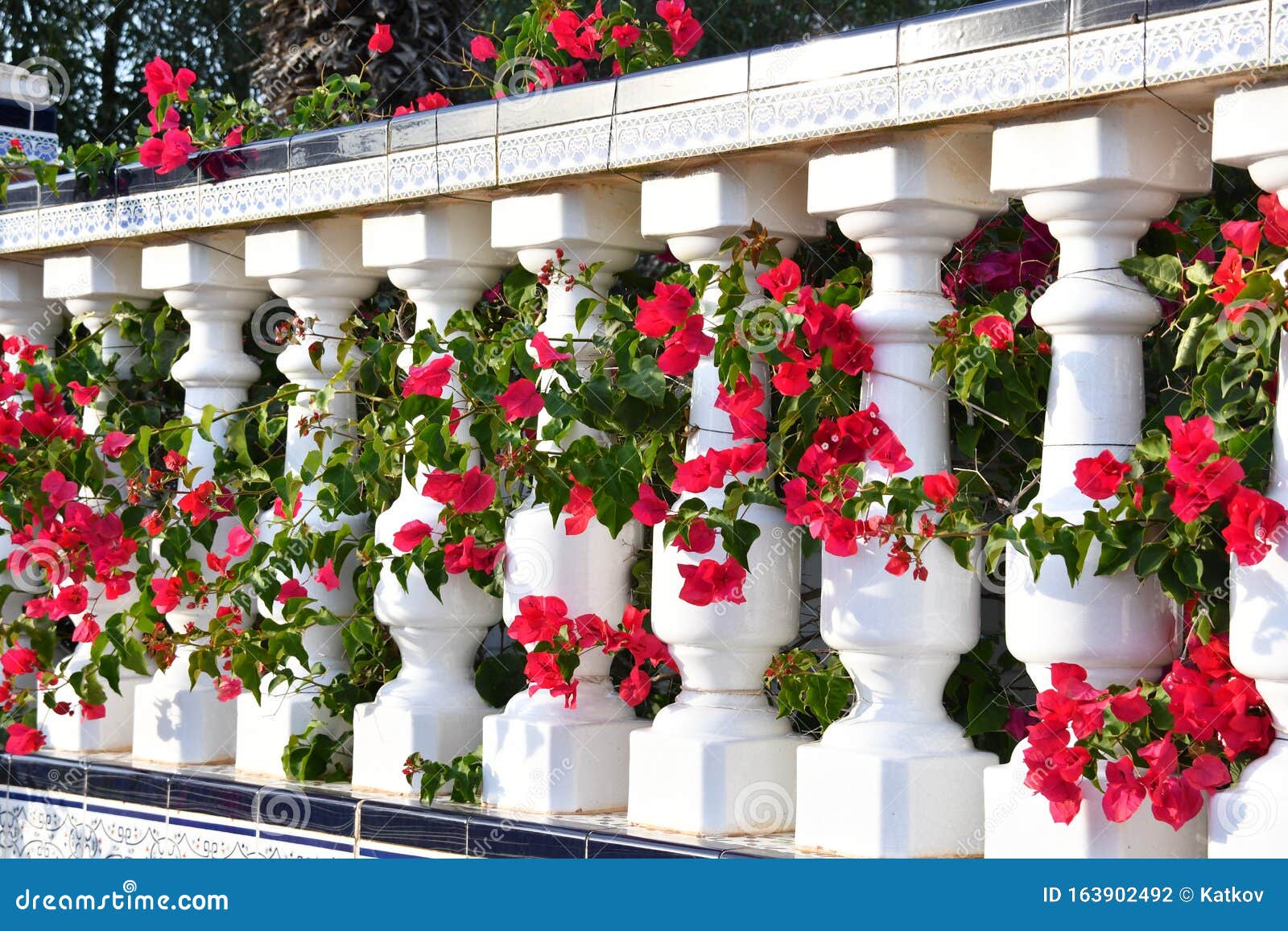 Spanish Terrace with Red Flowers Stock Photo - Image of beautiful ...