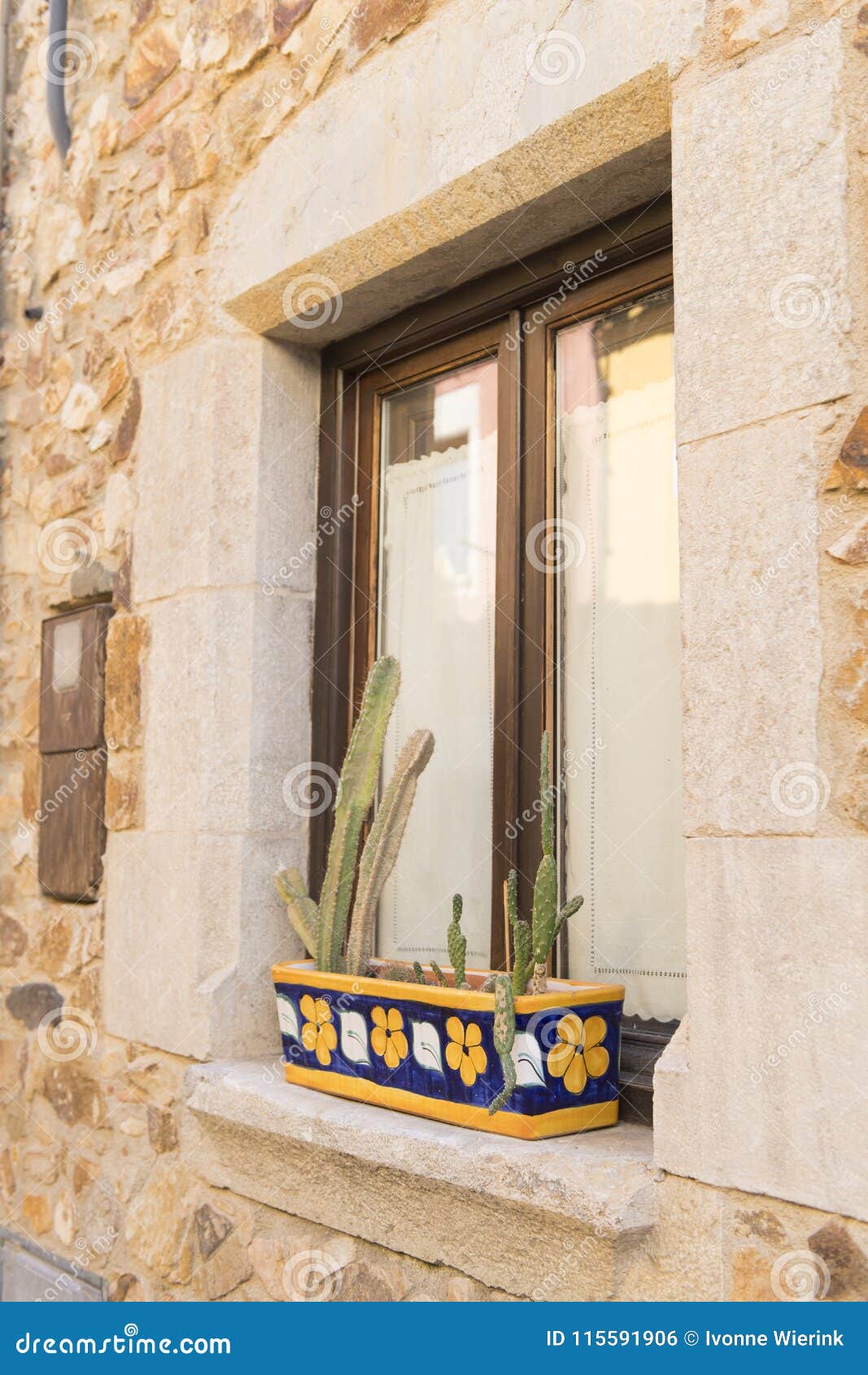 Spanish window with cacti stock photo. Image of building - 115591906