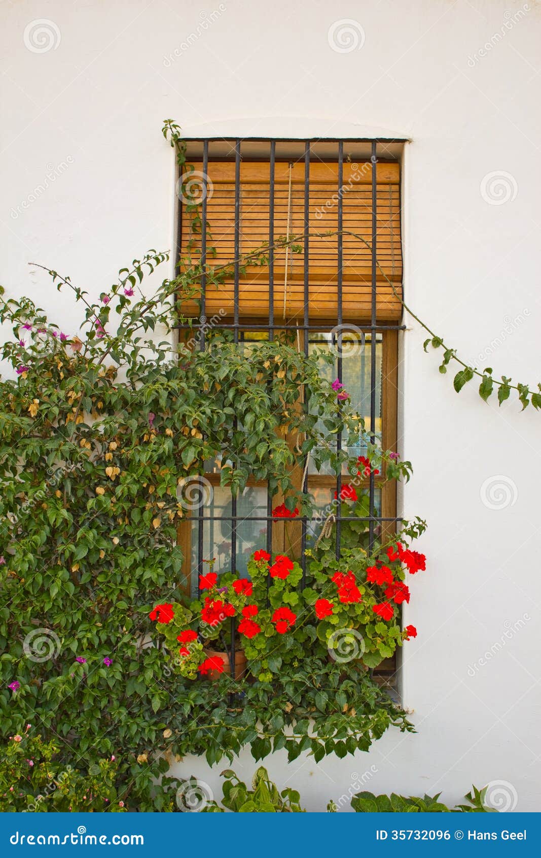 Spanish window stock photo. Image of geraniums, building - 35732096