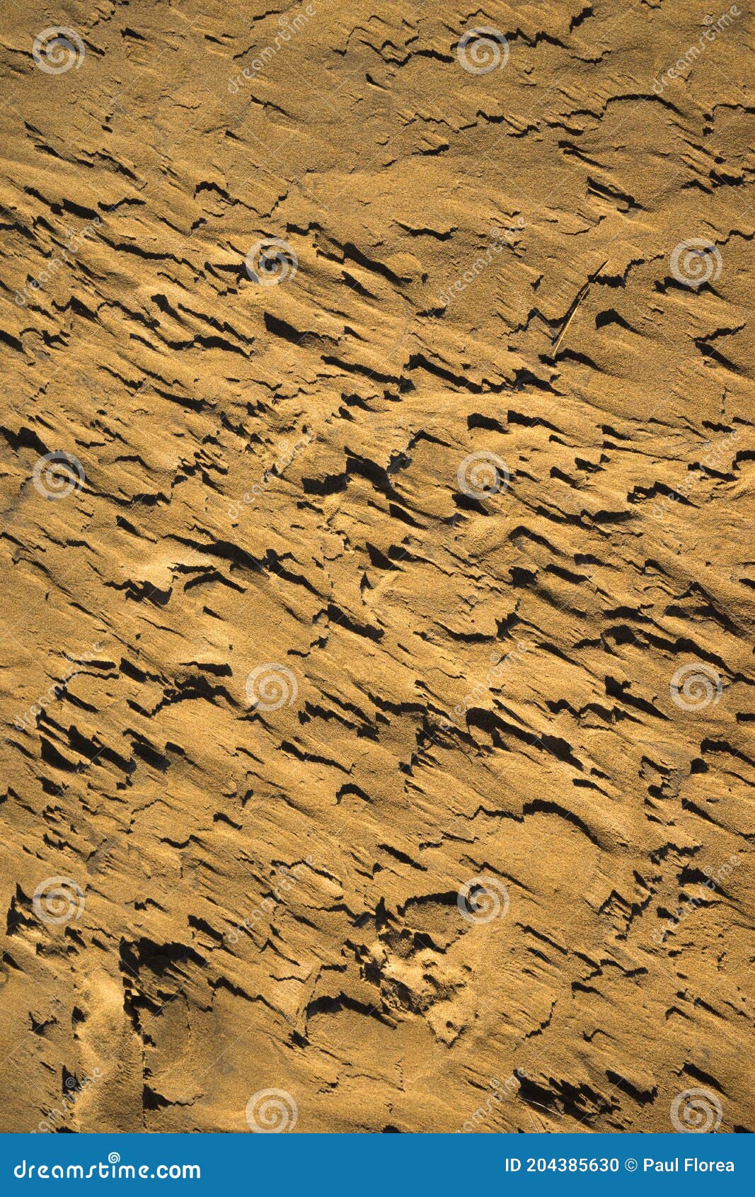 Sand Formation on the Beach Stock Photo - Image of nature, yellow ...