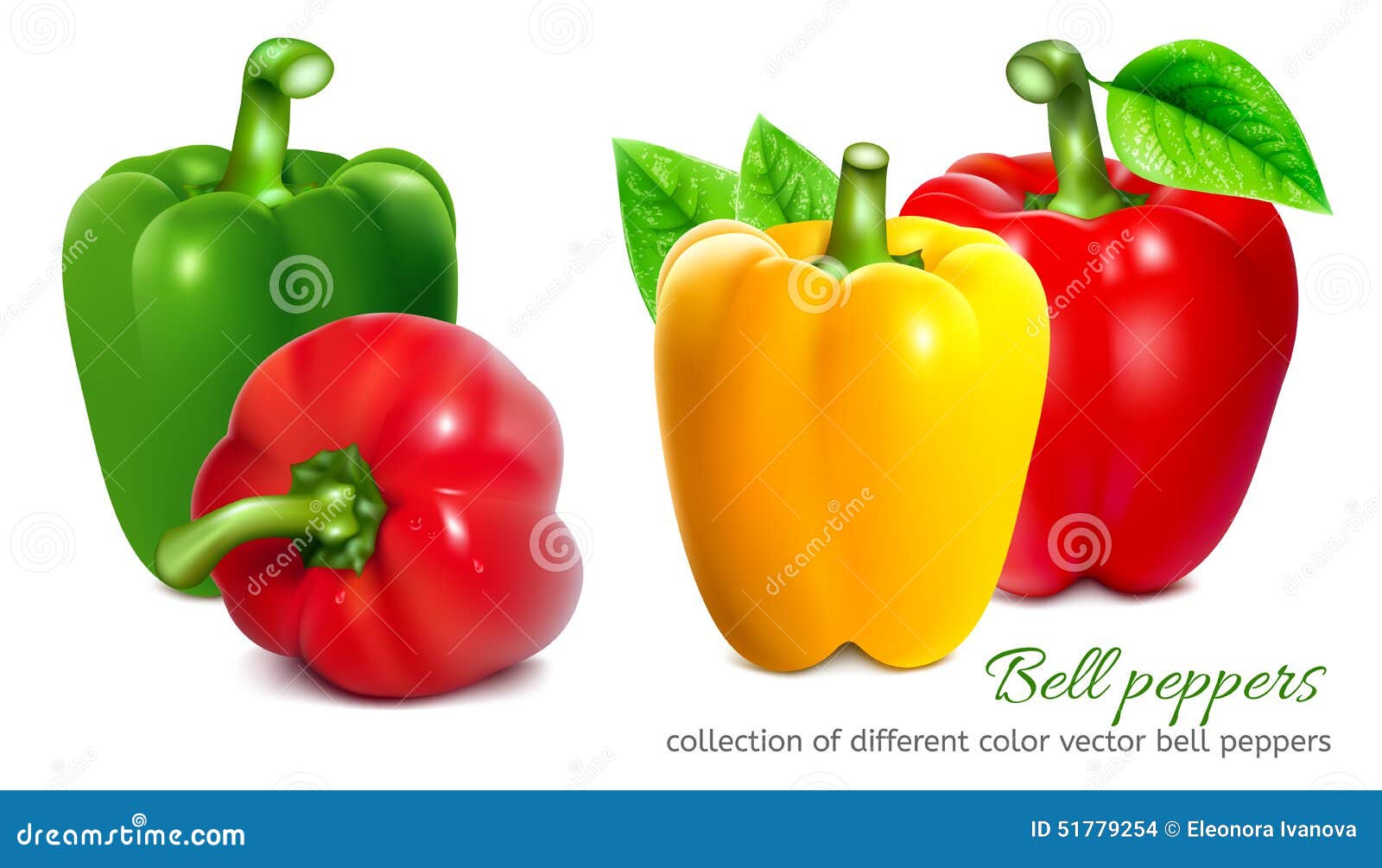 Spansk peppar vektor illustrationer. Illustration av vitamin - 51779254