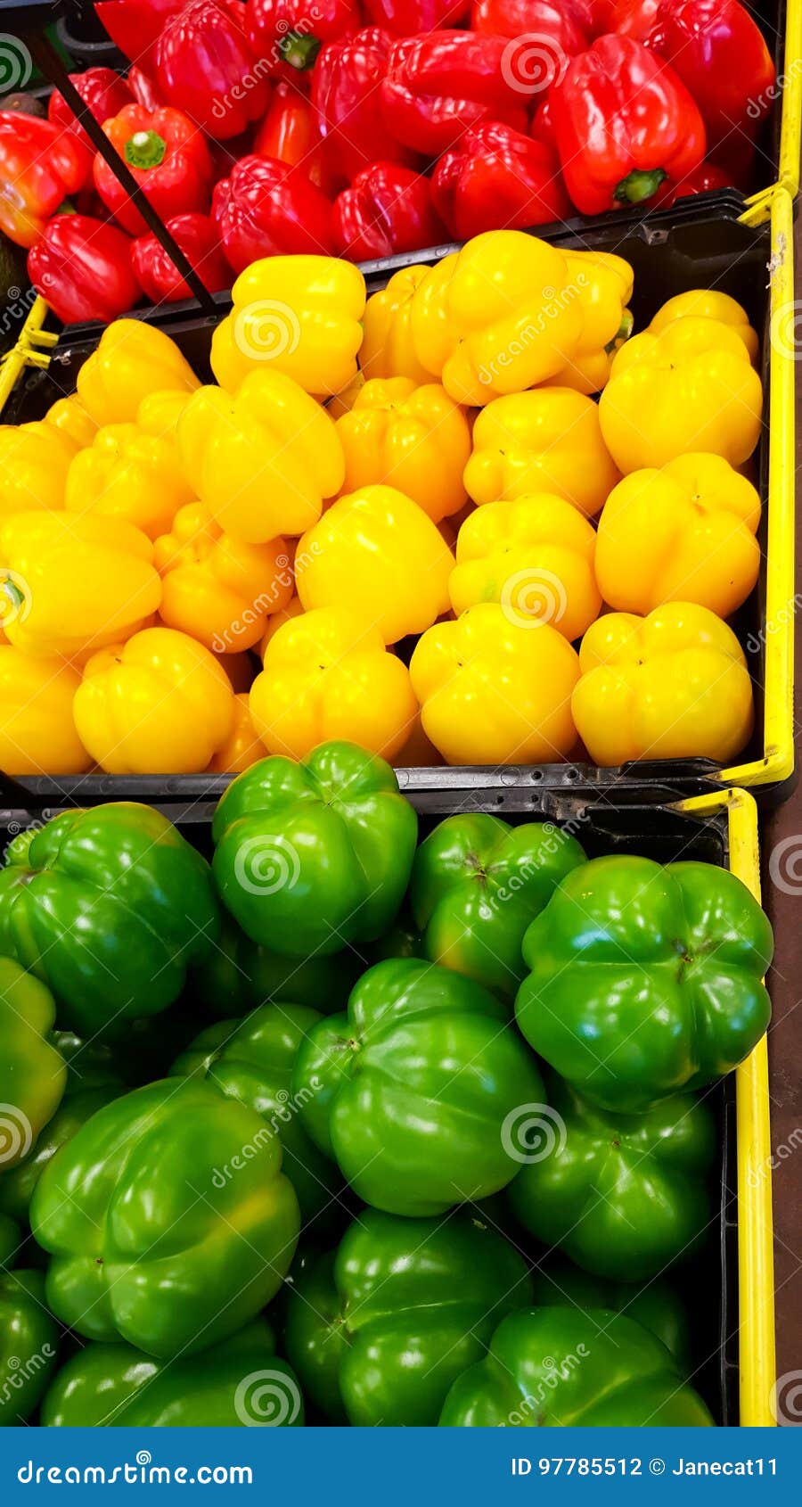 Spansk peppar arkivfoto. Bild av skördat, ingrediens - 97785512