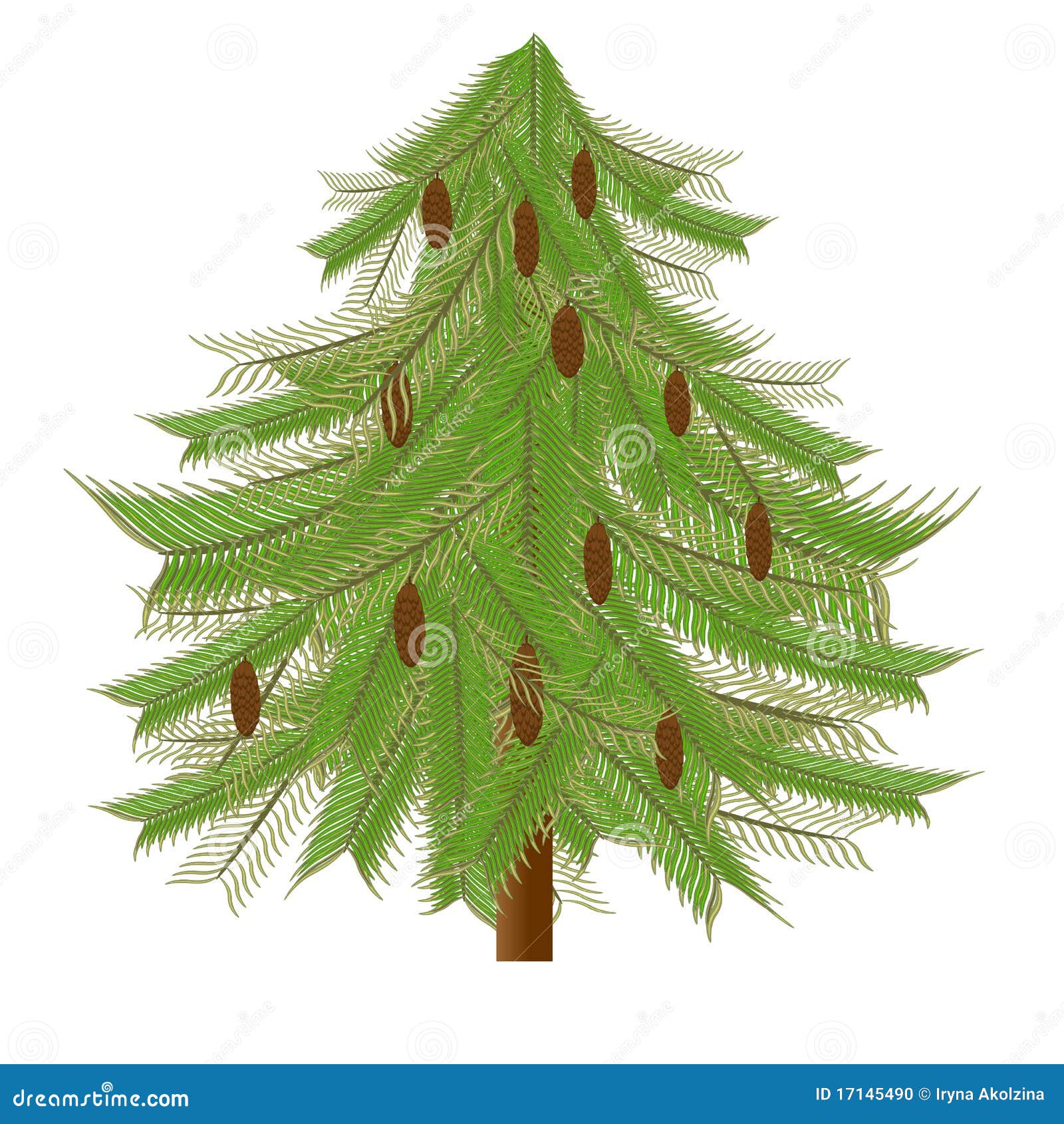 Spar stock illustratie. Illustration of geïsoleerd, jaar - 17145490