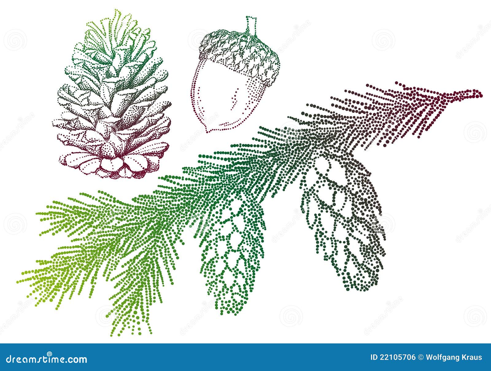 Spar, vector vector illustratie. Illustration of tekening - 22105706