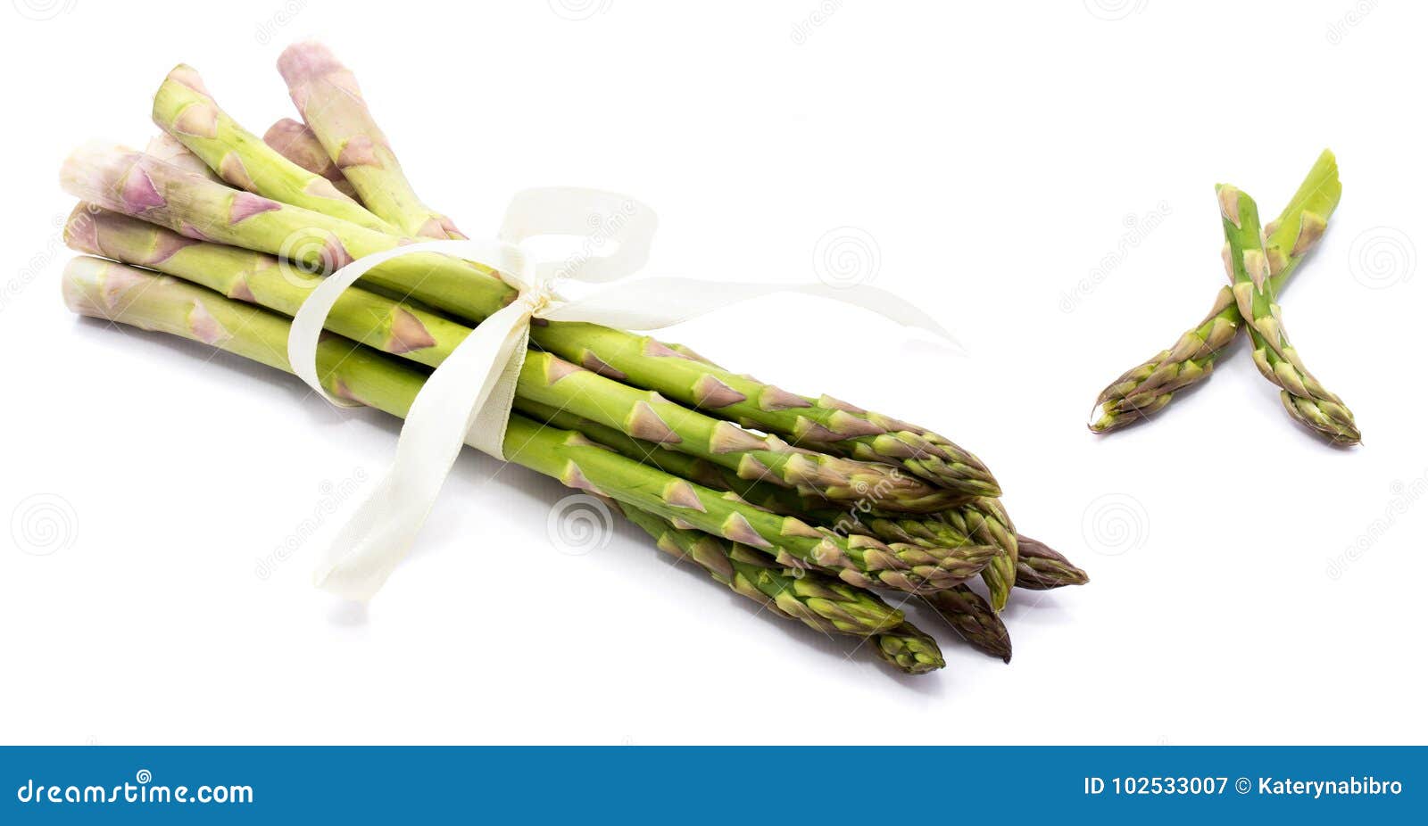 Spargel stockbild. Bild von schnitt, eintragfäden, schuppig - 102533007