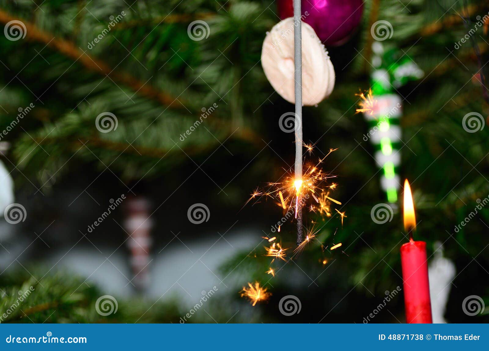 Sparkler on christmas tree stock photo. Image of glow - 48871738