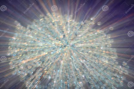 Sparkling Diamonds stock photo. Image of light, luster - 493870