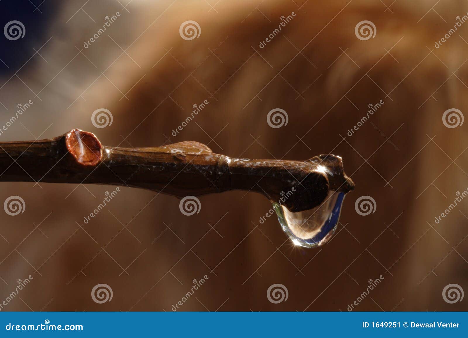 Sparkling drop stock image. Image of light, star, drop - 1649251