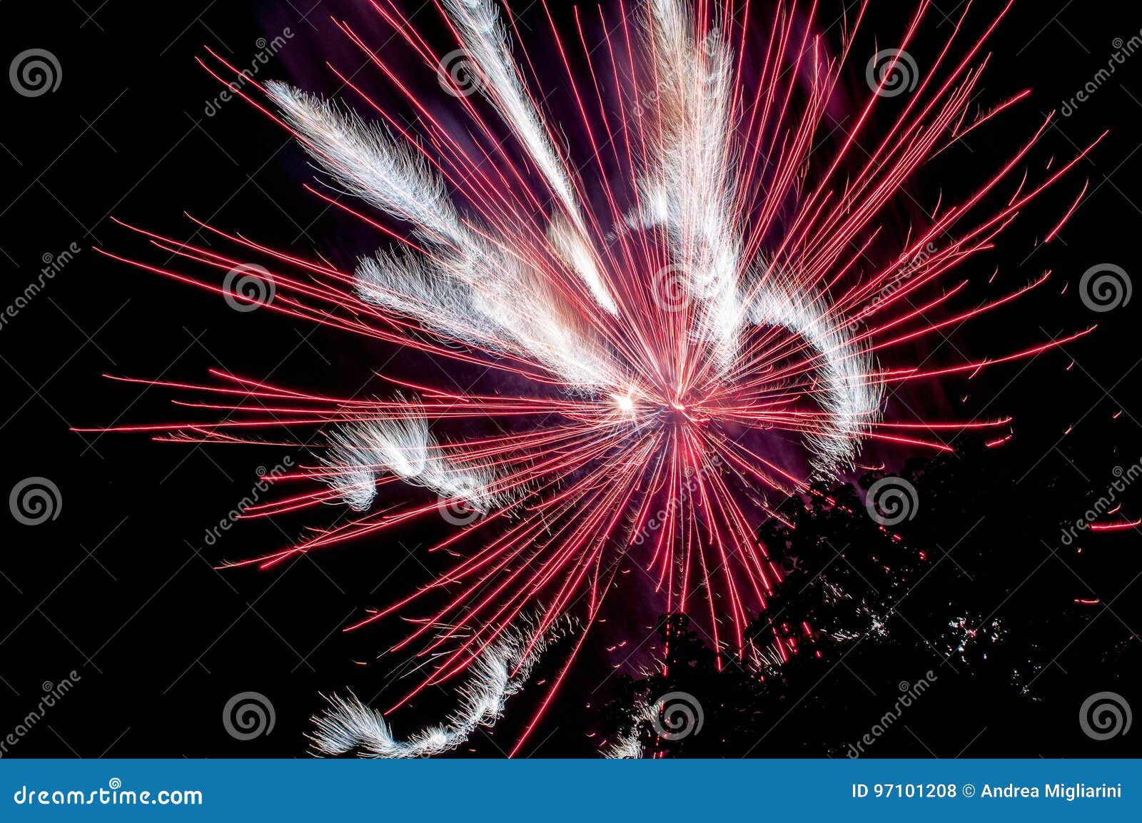 Sparkling Firework on Night Seen from a Park and Trees Silhouettes ...