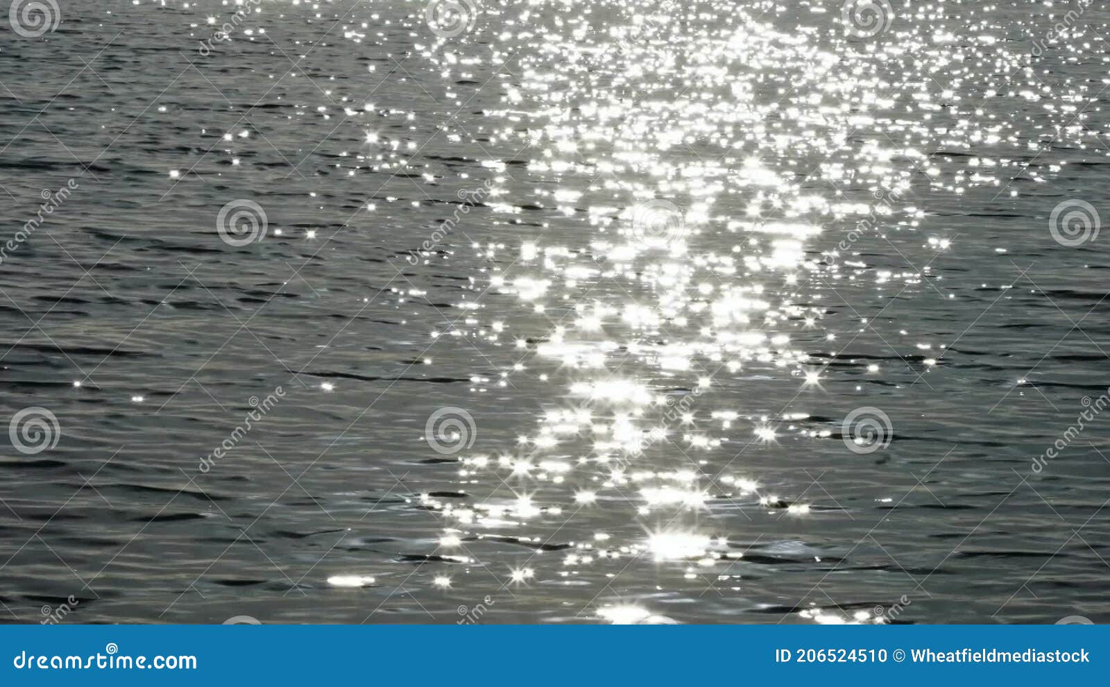 Sparkling Lake Surface, Sunlight Reflection on the Shimmering Water ...