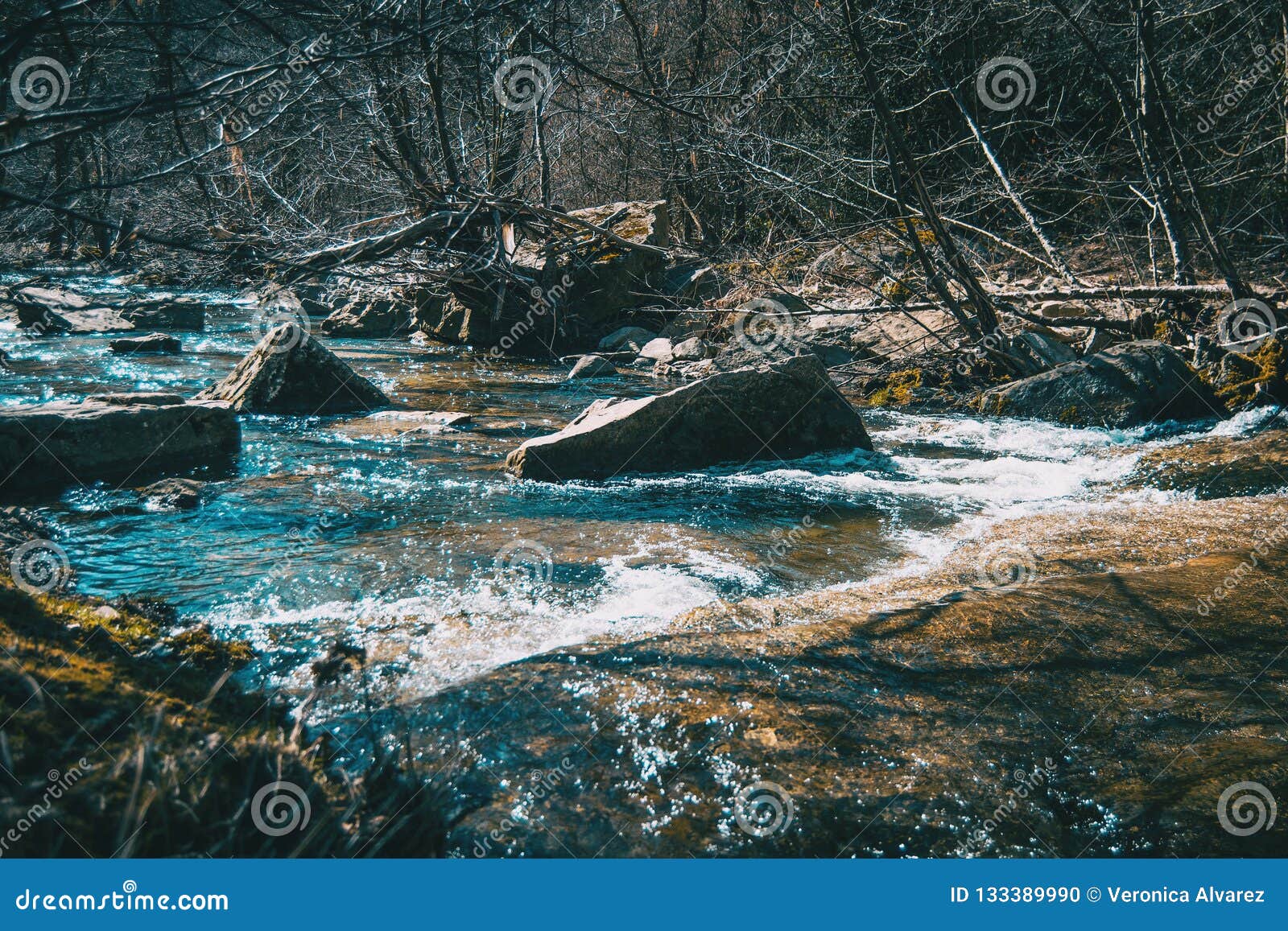 A sparkling river flowing stock photo. Image of calm - 133389990