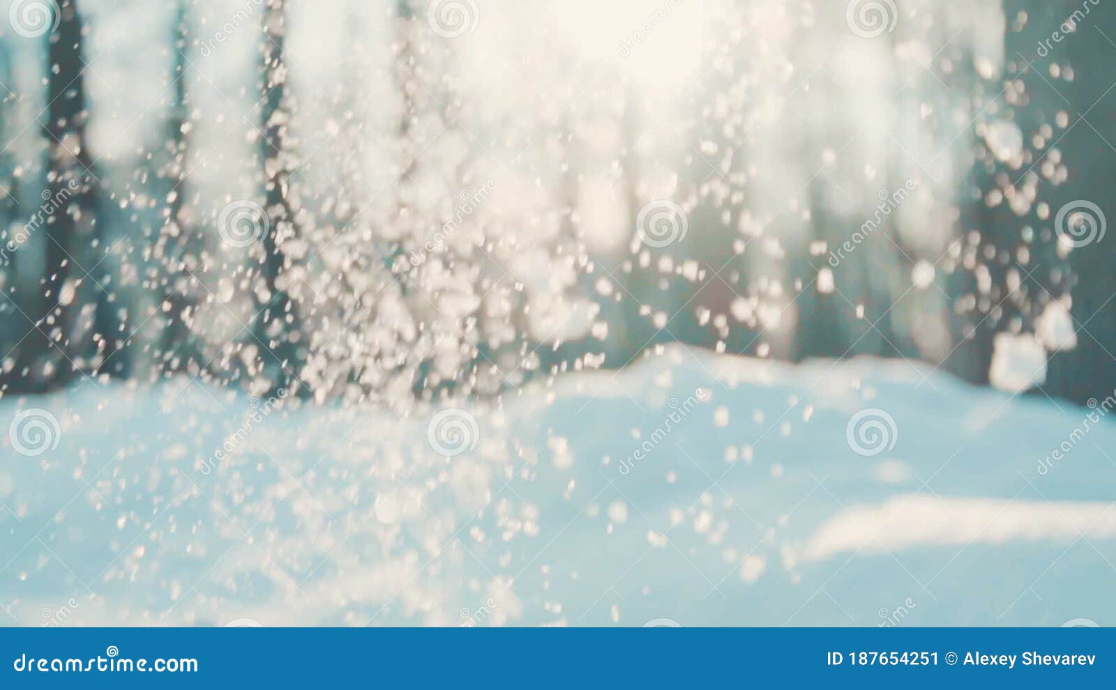 Sparkling Snow in the Setting Sun Flying Down Stock Video - Video of ...