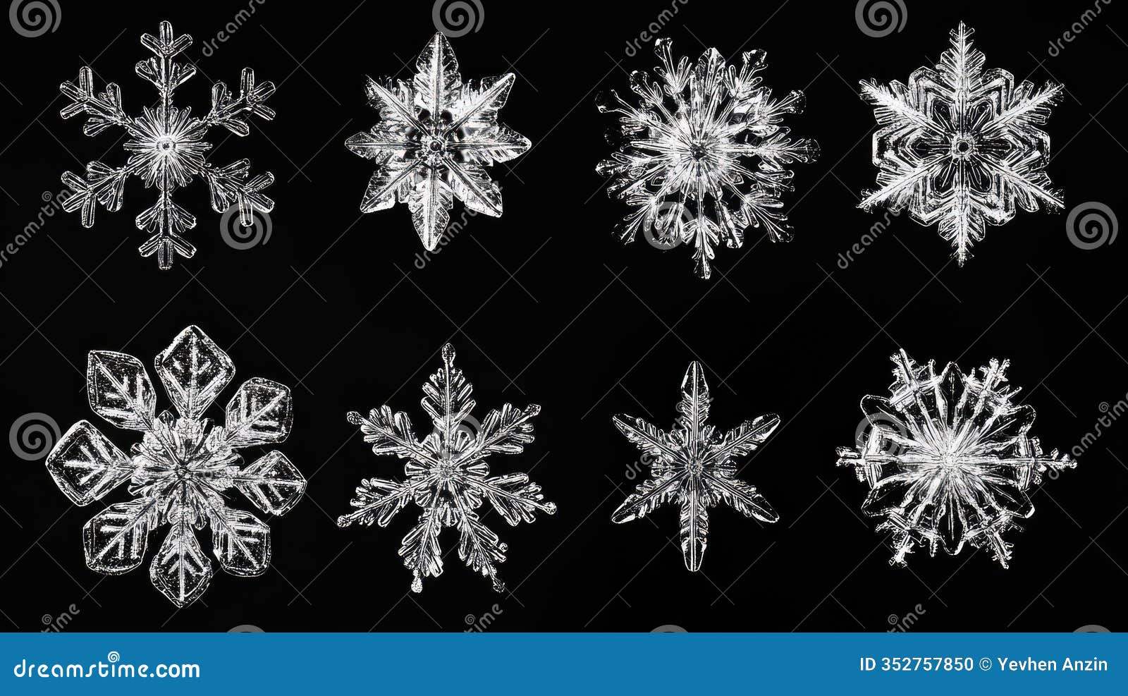 Sparkling Snowflakes with Clear, Detailed Patterns and Icy Textures on ...