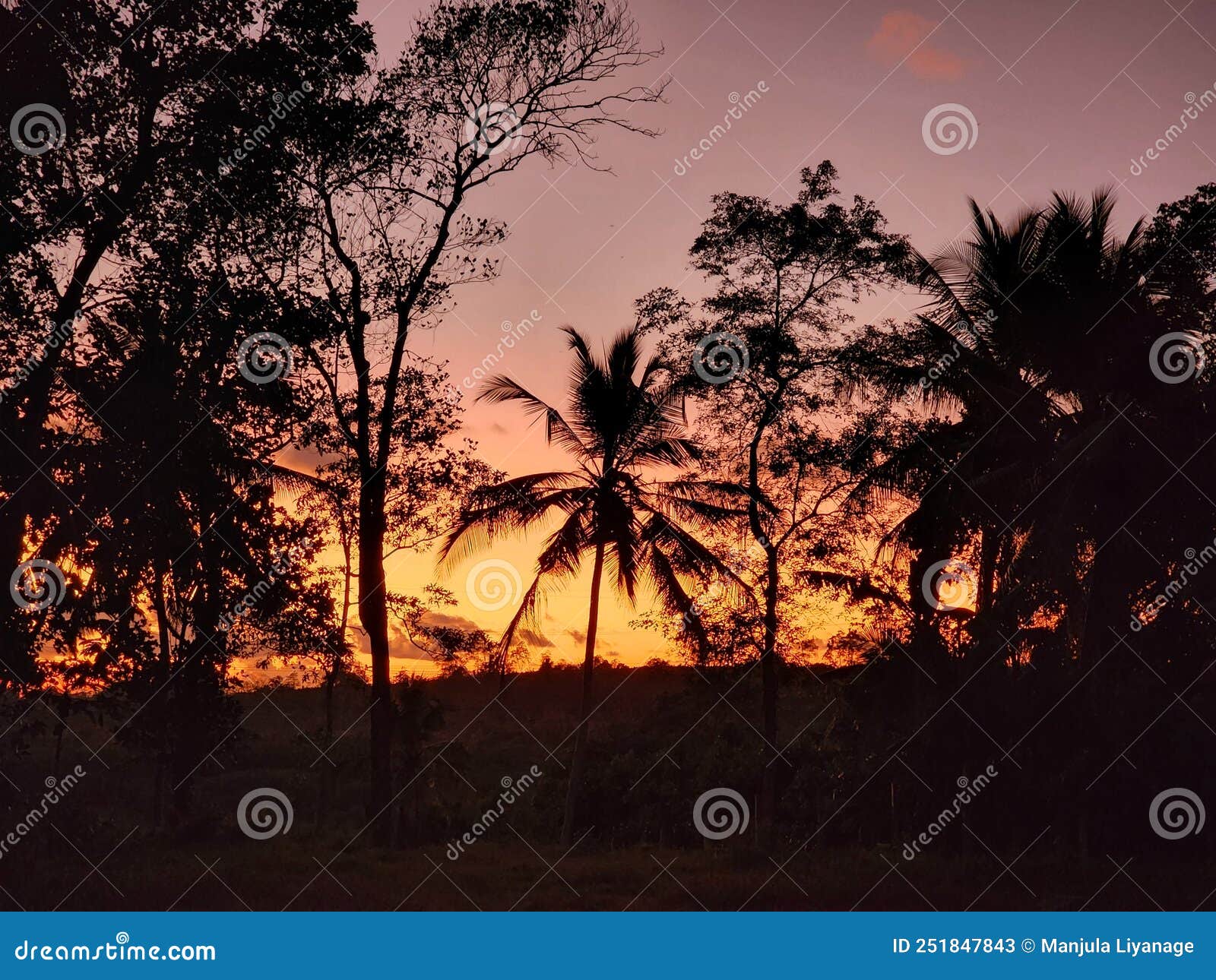 Sparkling sunset stock image. Image of captured, nature - 251847843