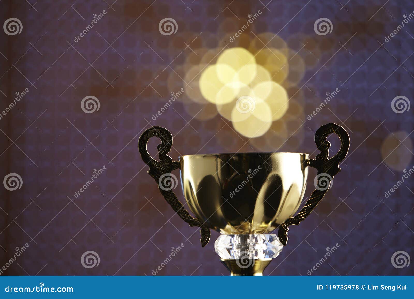 Symbol of success stock photo. Image of prize, achievement - 119735978