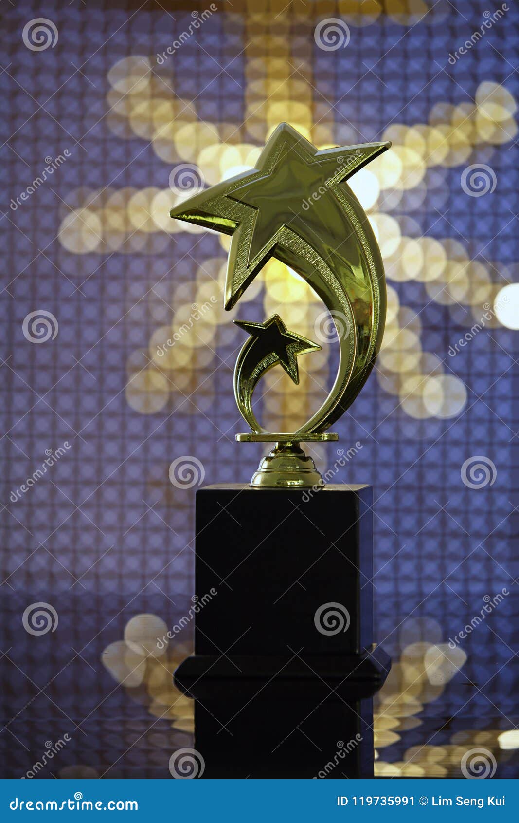 Symbol of success stock image. Image of champion, golden - 119735991