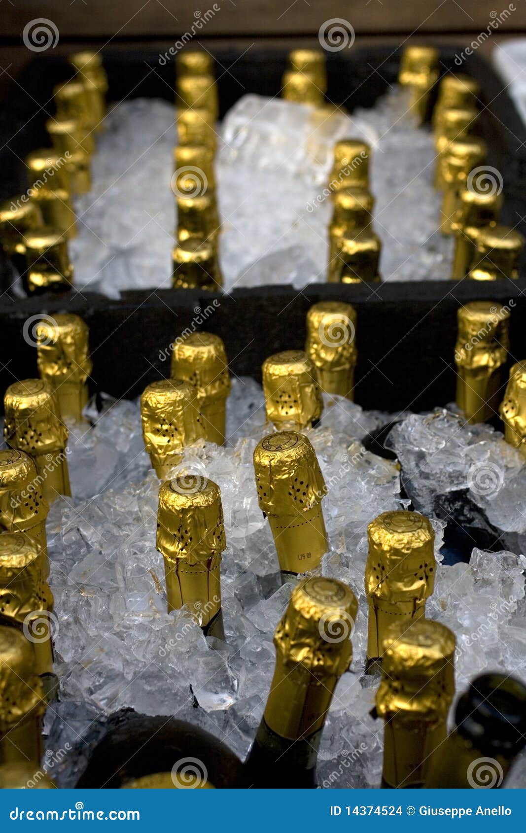 Sparklings stock photo. Image of champagne, blank, sparkling - 14374524