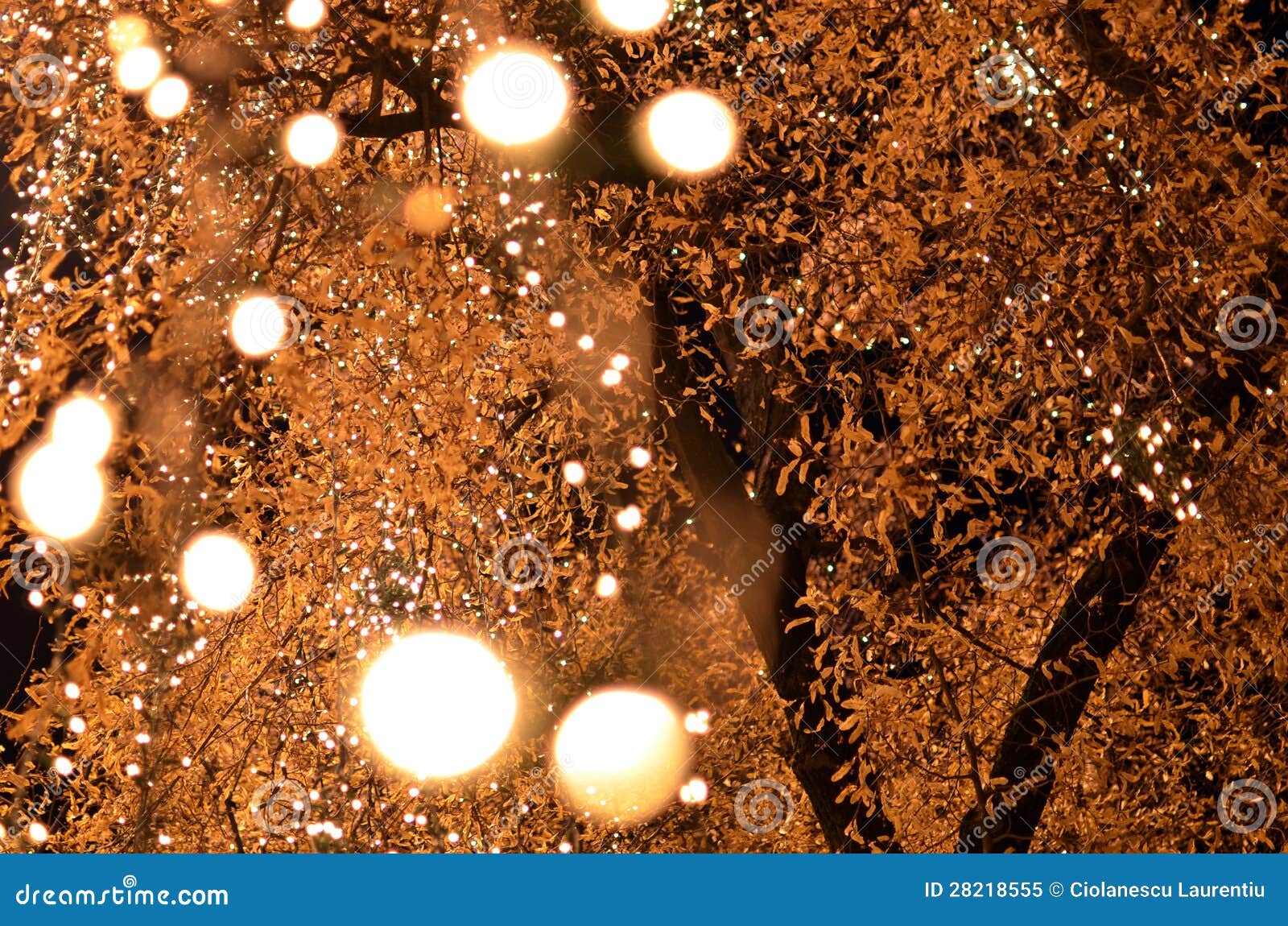 Sparkly bulbs in a tree stock image. Image of year, nature - 28218555