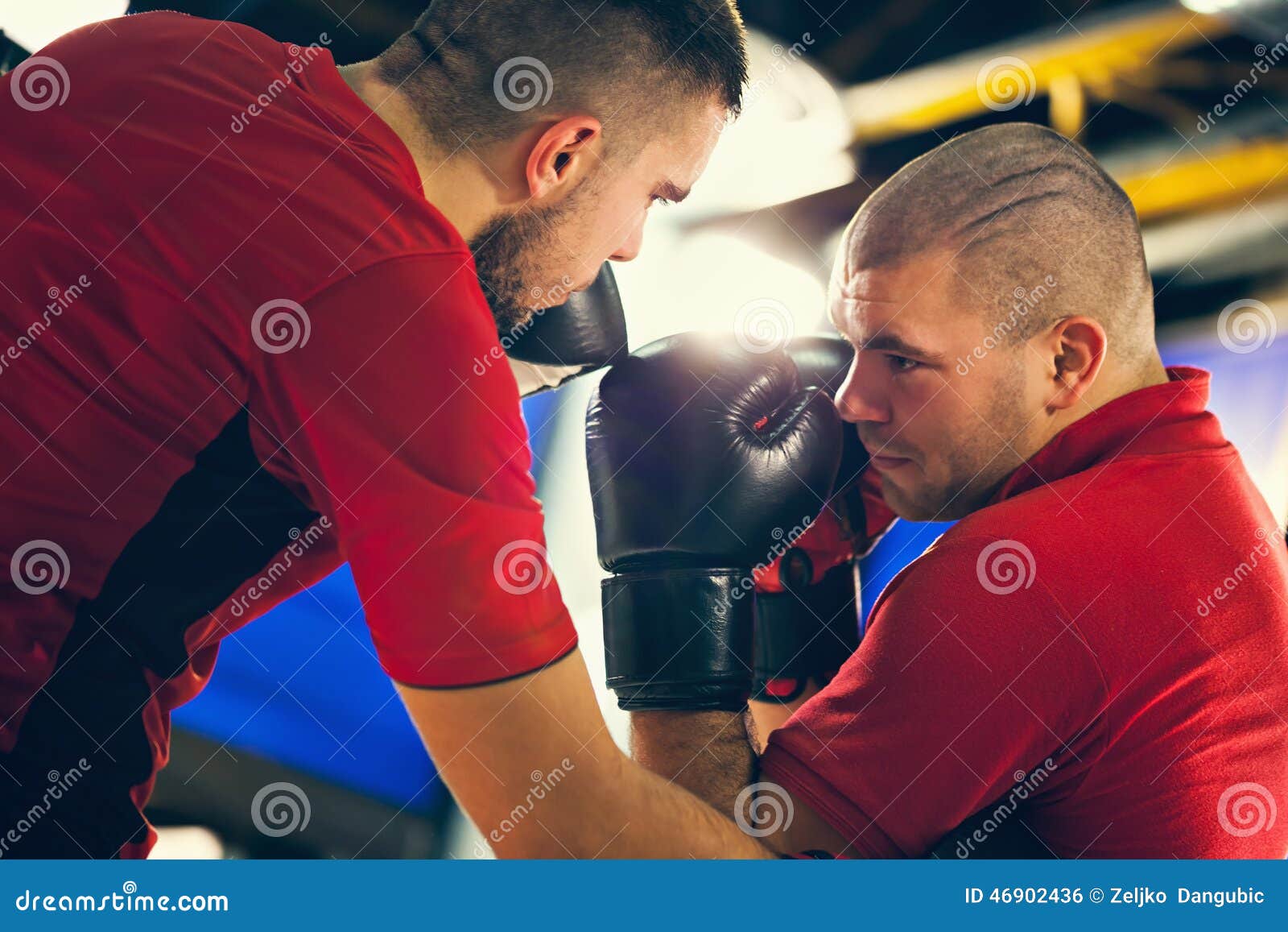 Sparring stock photo. Image of boxer, kickboxing, kicking - 46902436