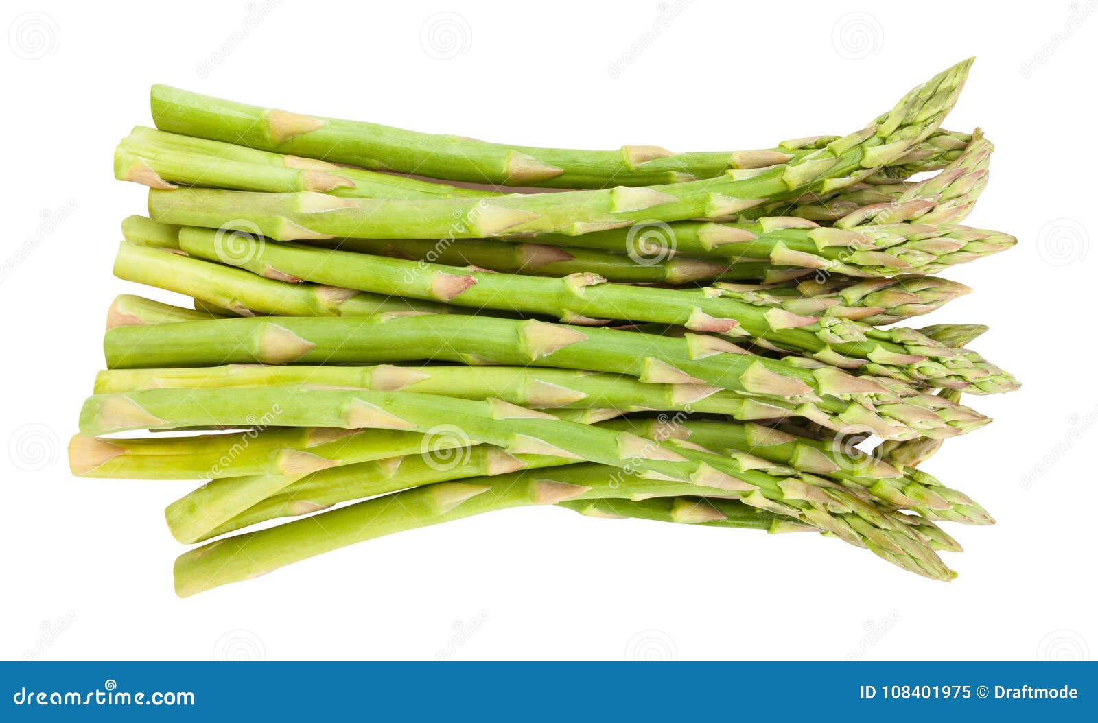 Sparris fotografering för bildbyråer. Bild av ingrediens - 108401975