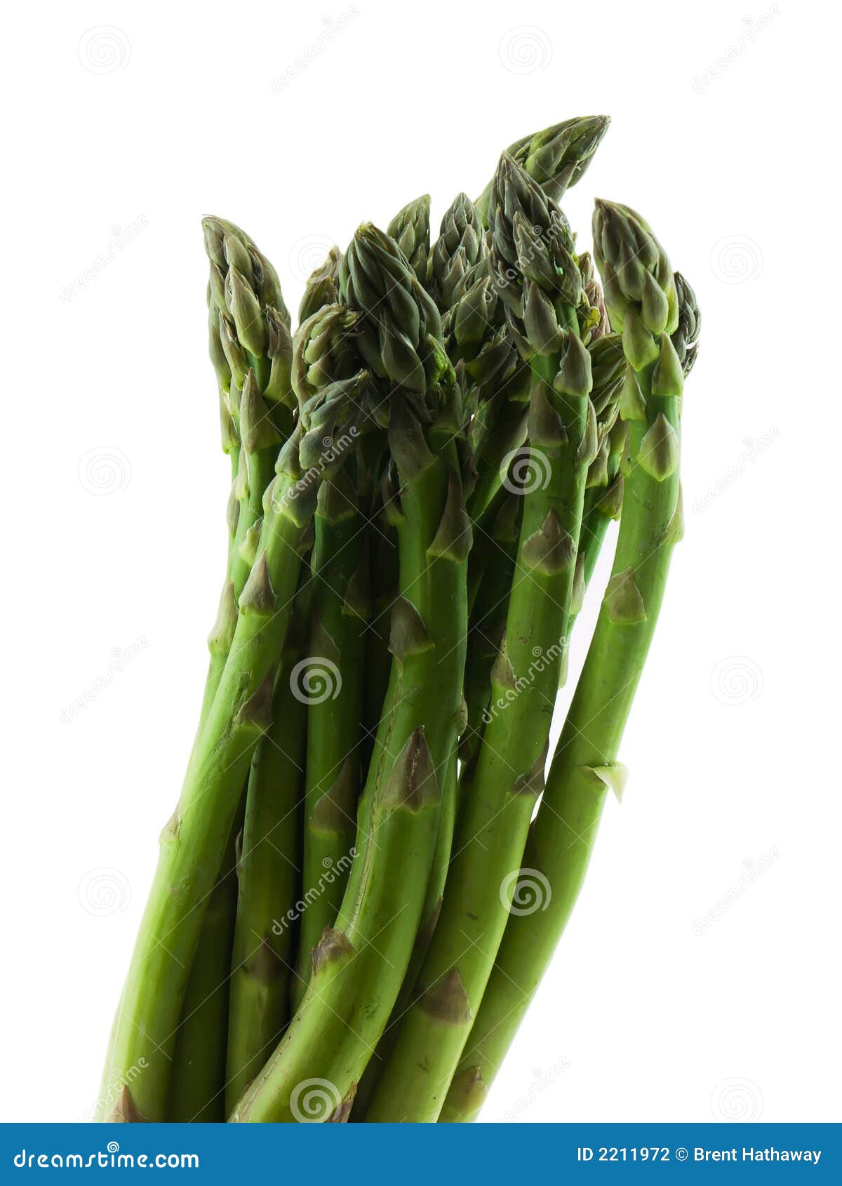 Sparris arkivfoto. Bild av banta, nytt, stamma, marknad - 2211972