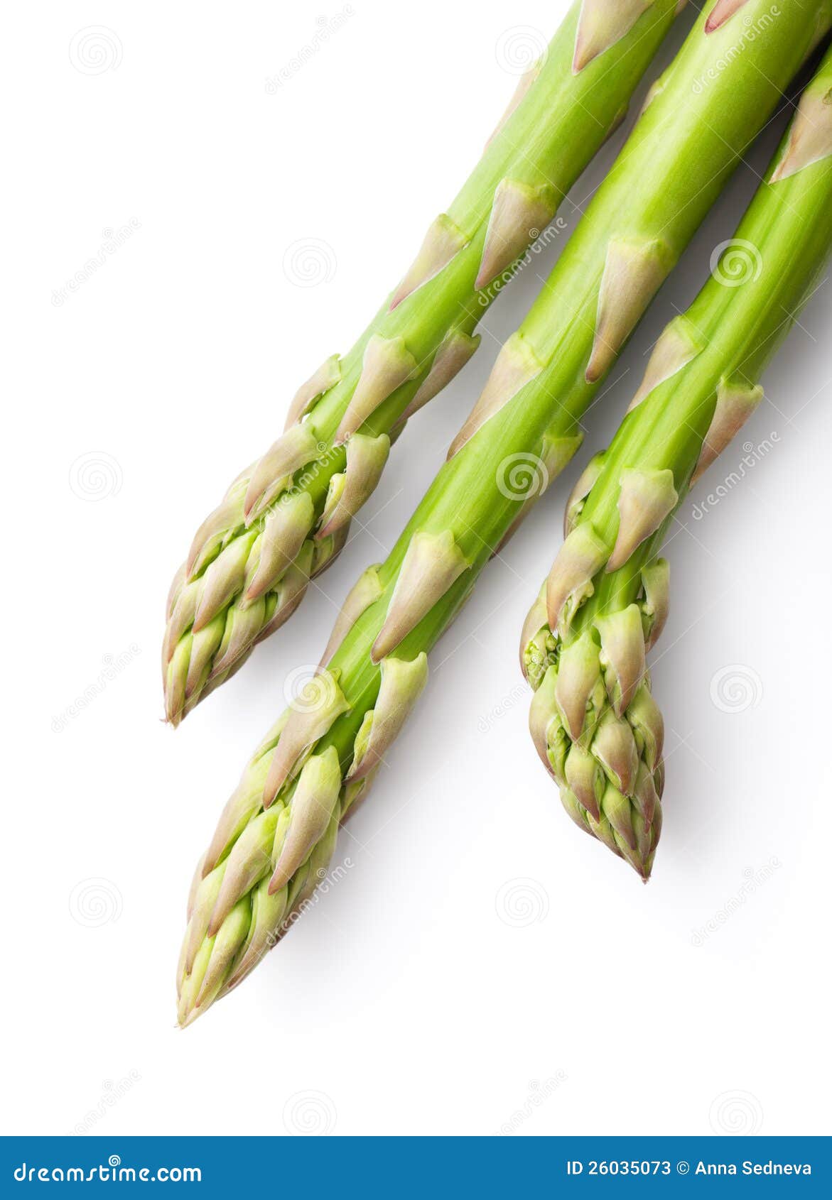 Sparris fotografering för bildbyråer. Bild av vinkel - 26035073