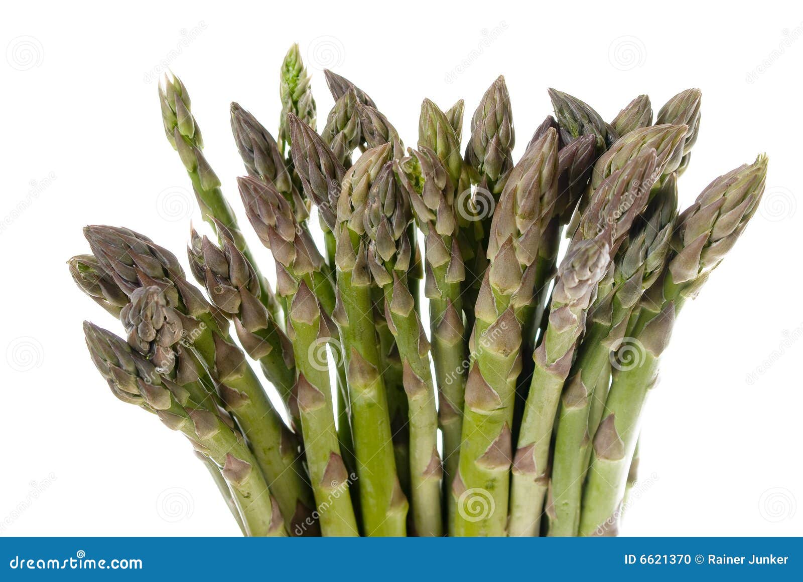 Sparris arkivfoto. Bild av grön, grupp, grönsak, kokkonst - 6621370