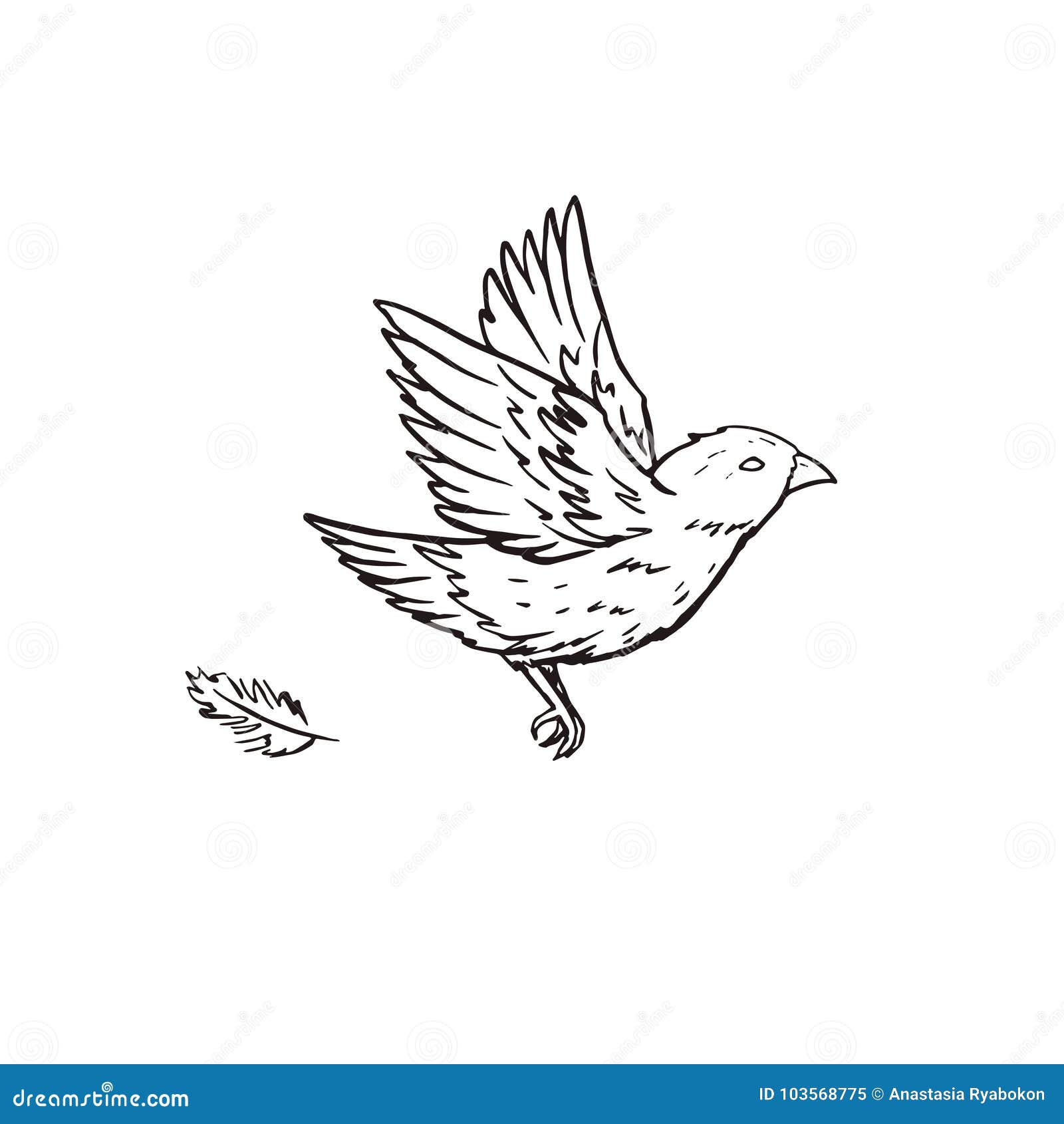 Sparrow Bird Flying Sketch Vector Illustration Stock Vector ...